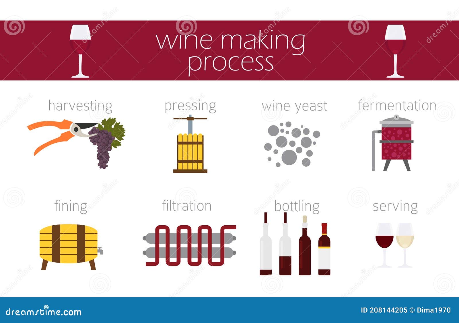 Grapes Varieties for Wine. Winemaking Infographic Stock Vector ...