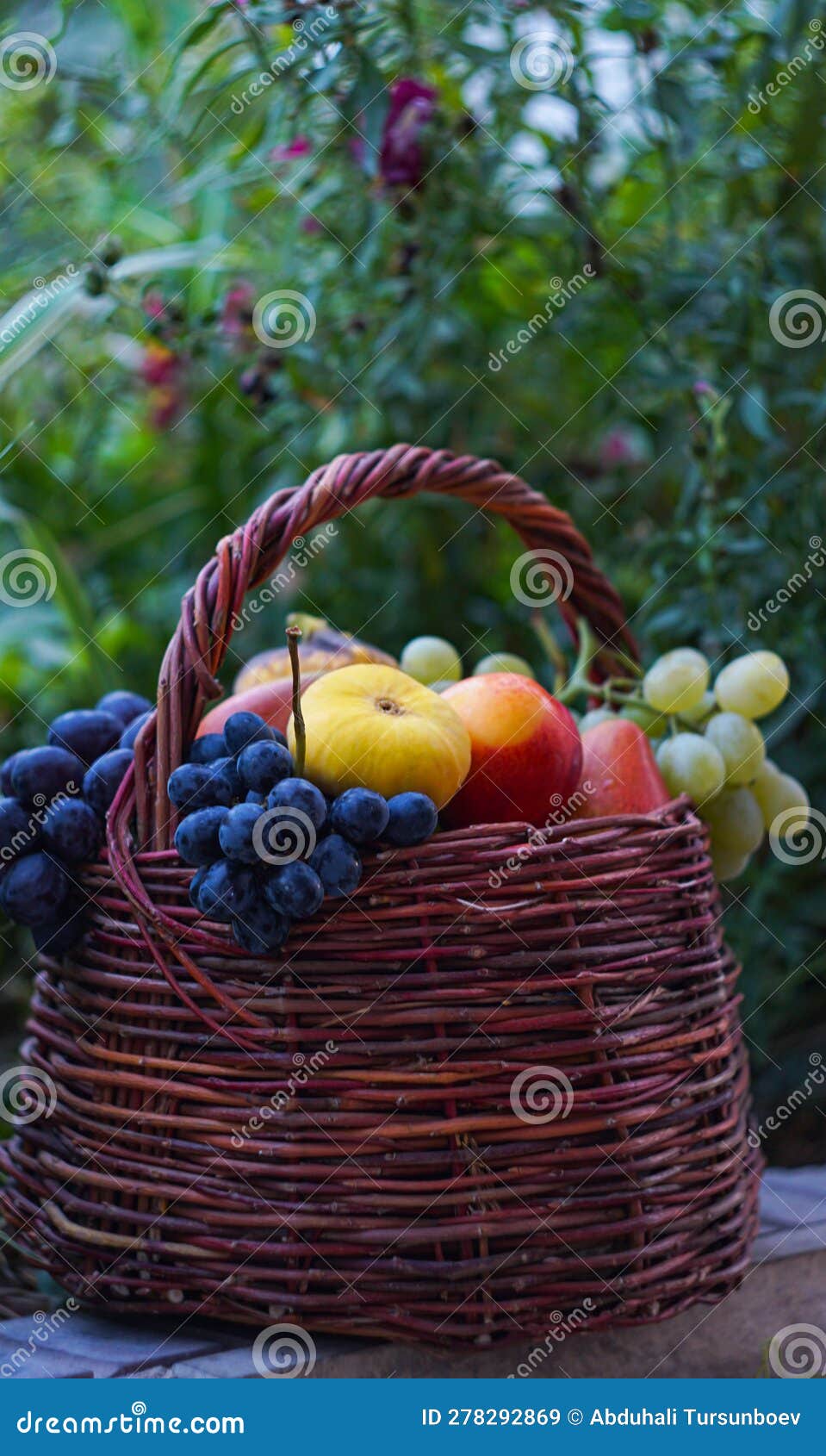 Grapes and Various Fruits in a Basket Stock Image - Image of group ...