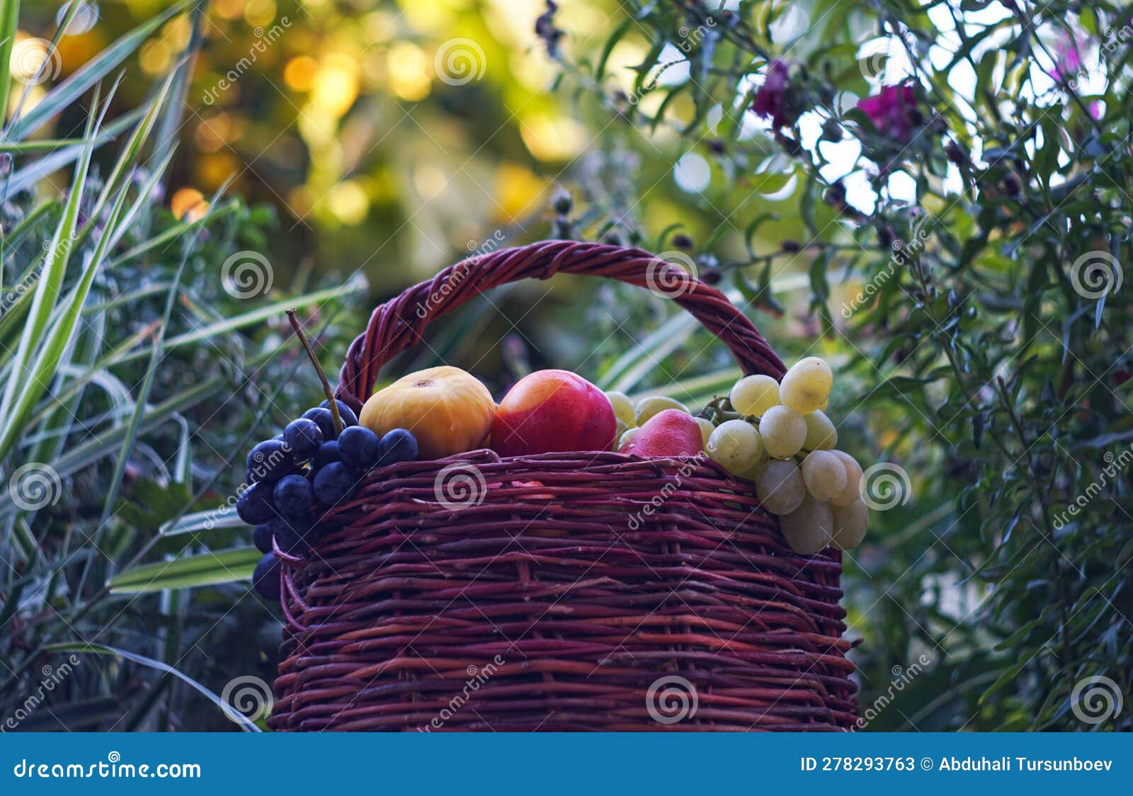 Grapes and Various Fruits in a Basket Stock Image - Image of plum, diet ...