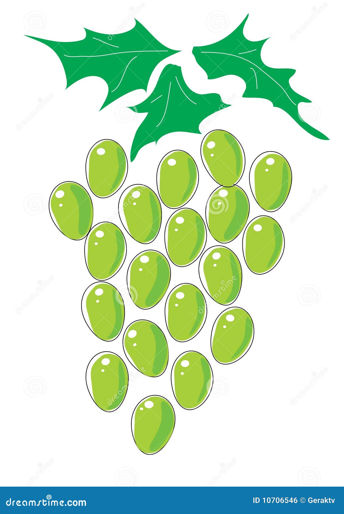 Grapes.Vector stock vector. Illustration of leaf, wine - 10706546
