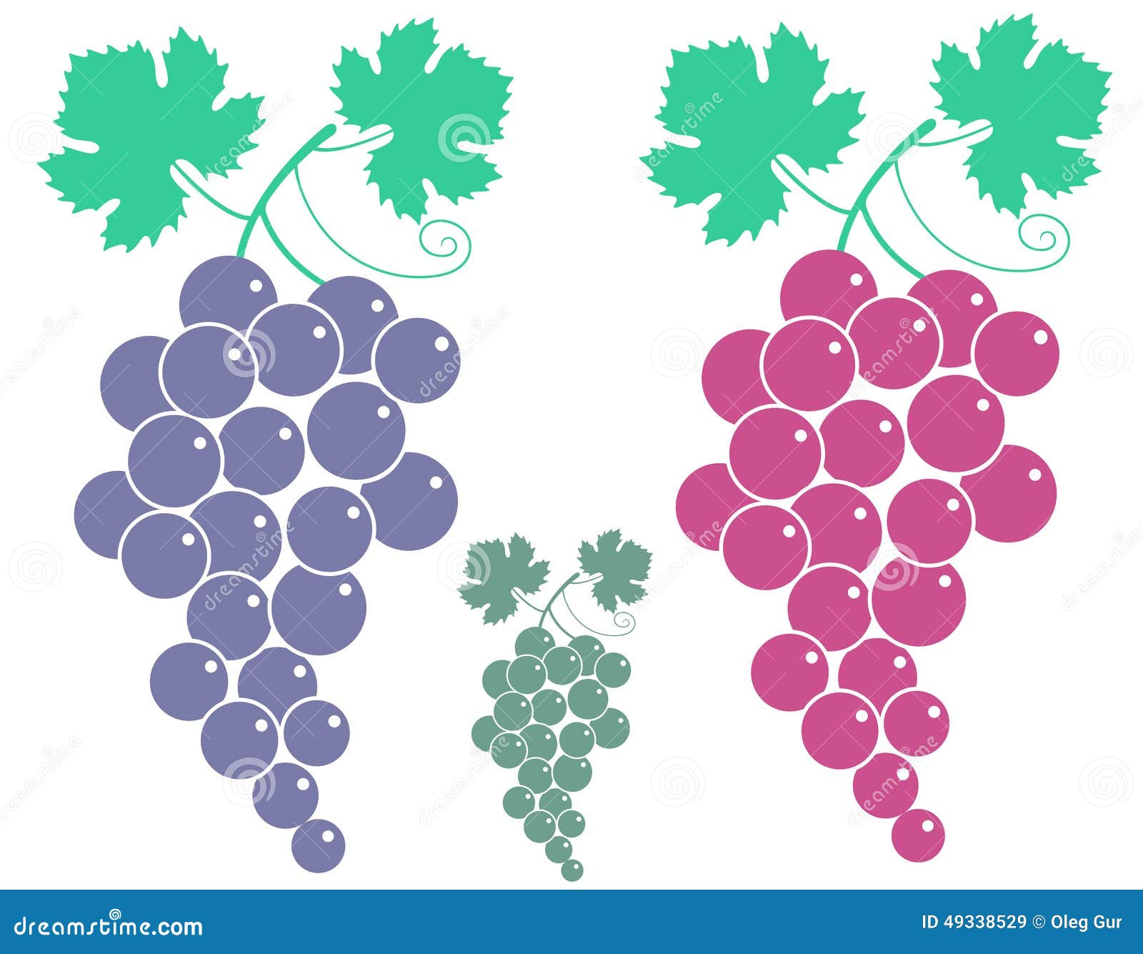 Grapes stock vector. Illustration of design, vector, food - 49338529