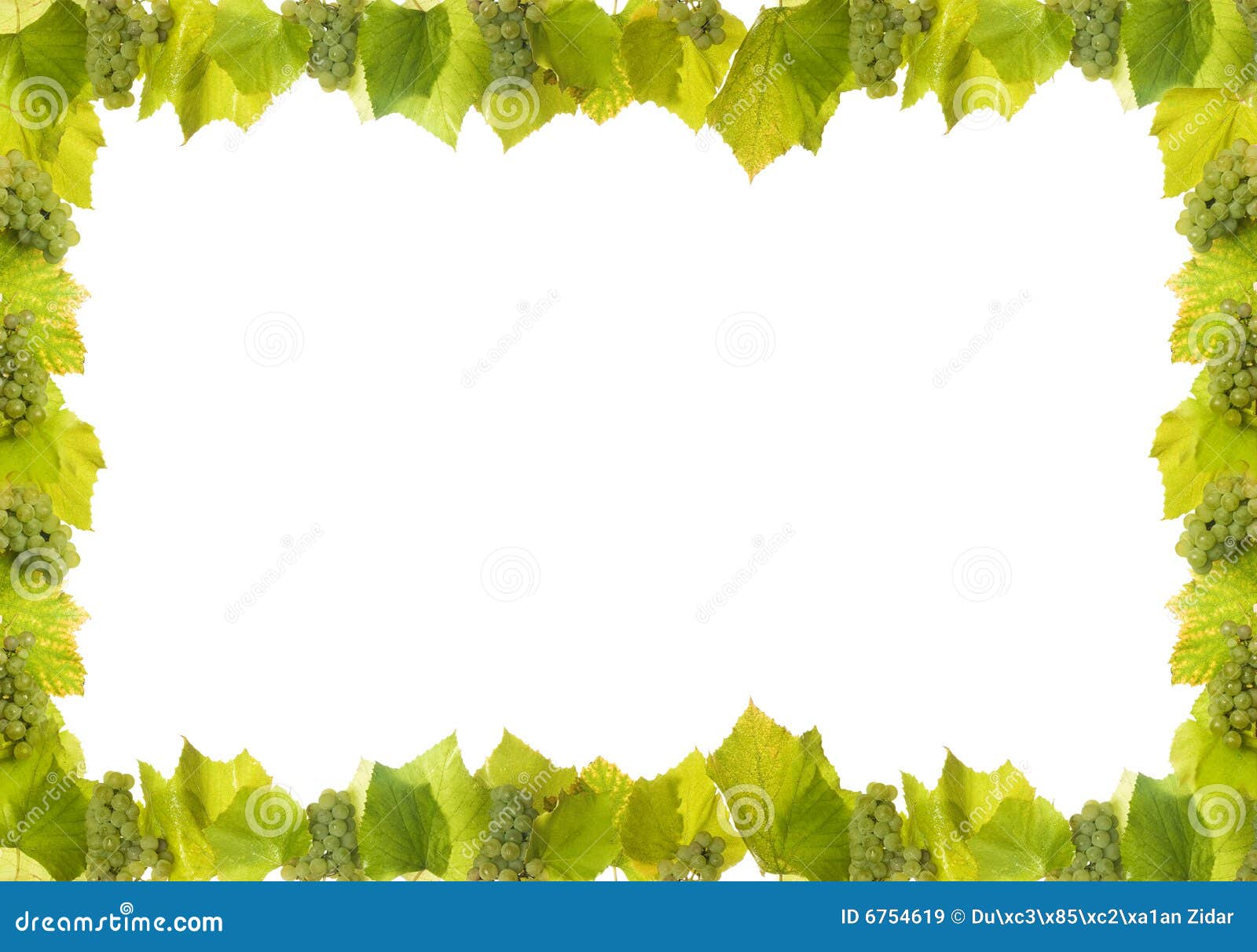 Grapes And Vine Border Royalty-Free Stock Photography | CartoonDealer ...