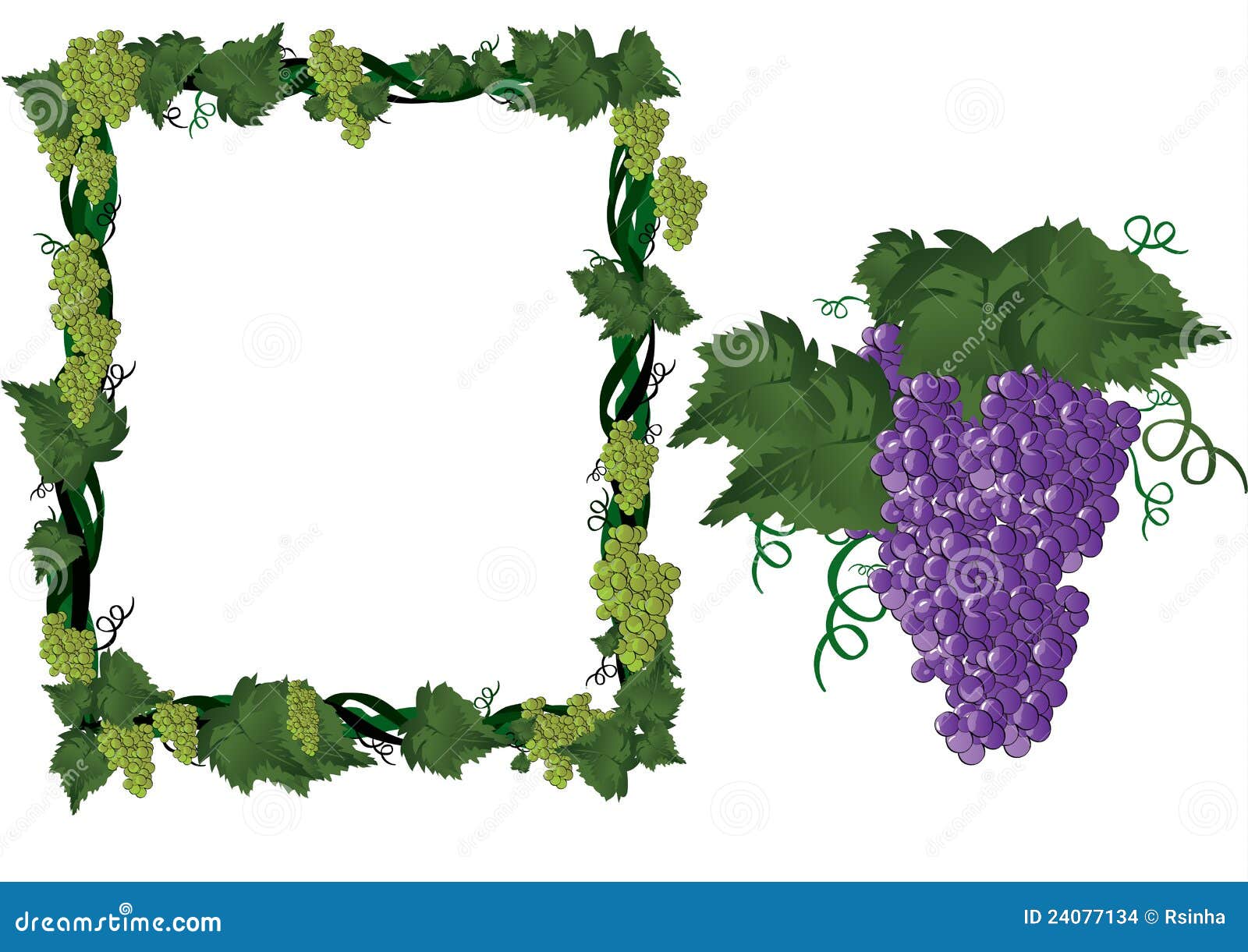 Grapes on vine in frame stock vector. Illustration of floral - 24077134