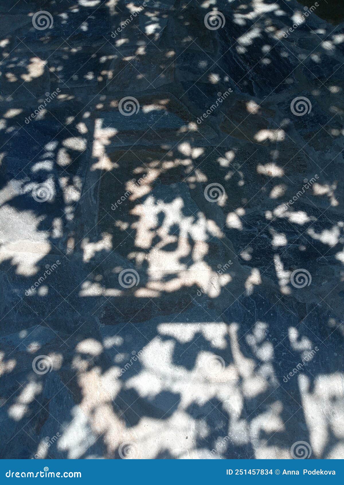 Grapes Vine Shadows in July Sunny Day. Stock Photo - Image of grapes ...