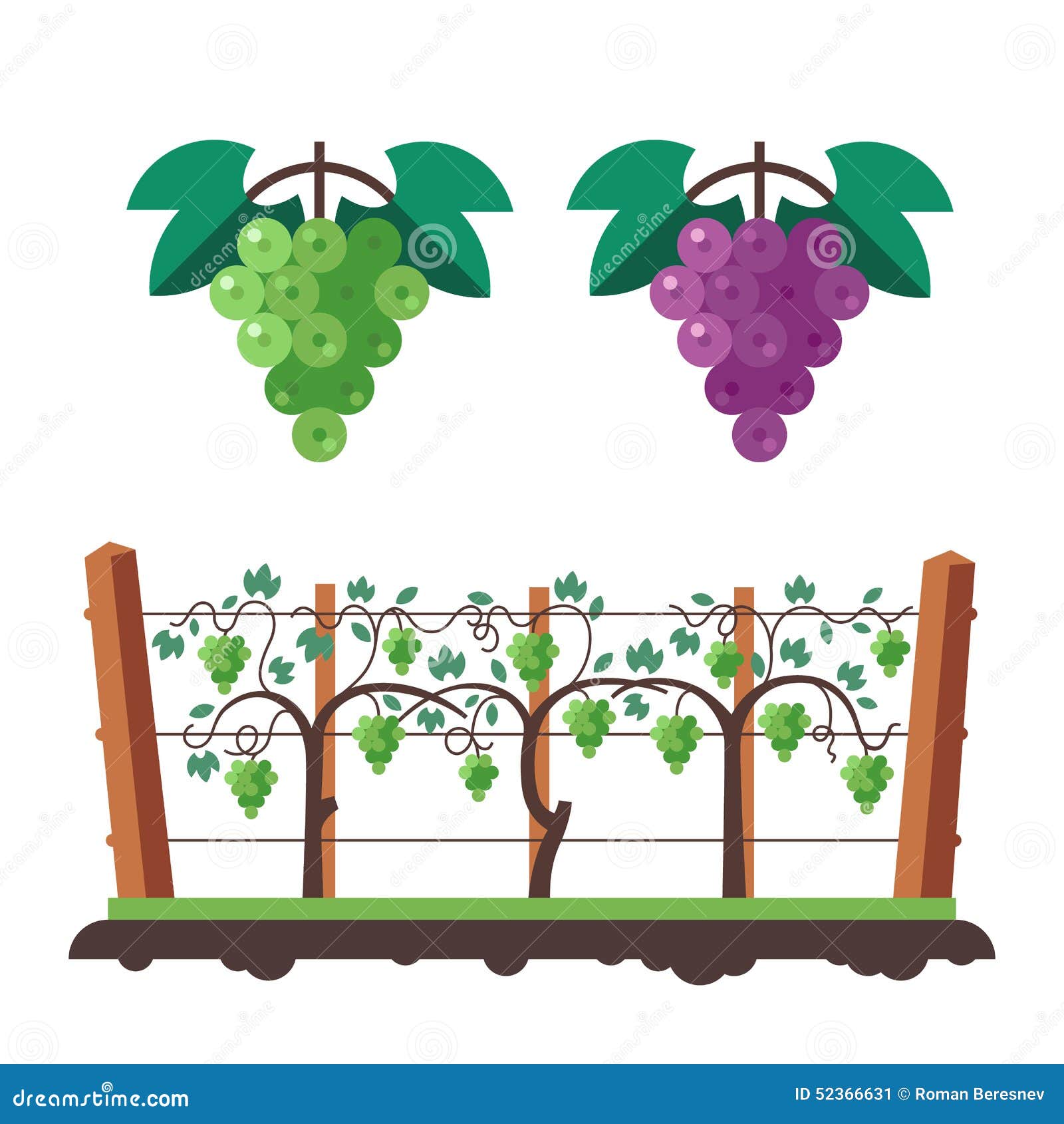 Grapes and Vineyard Illustration Stock Vector - Illustration of element ...