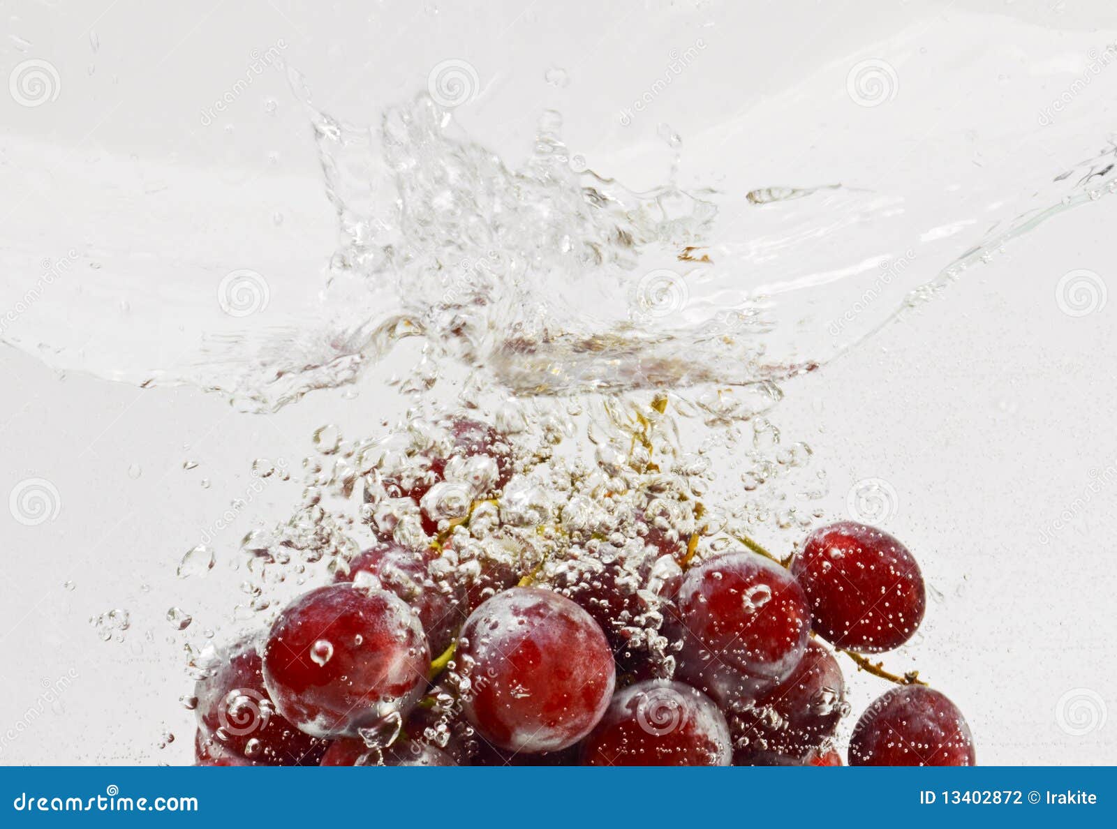 Grapes in water stock photo. Image of water, liquid, splashing - 13402872