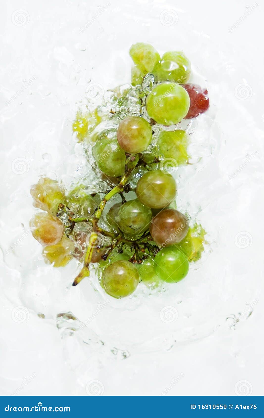 Grapes in water stock image. Image of color, fruit, conceptual - 16319559