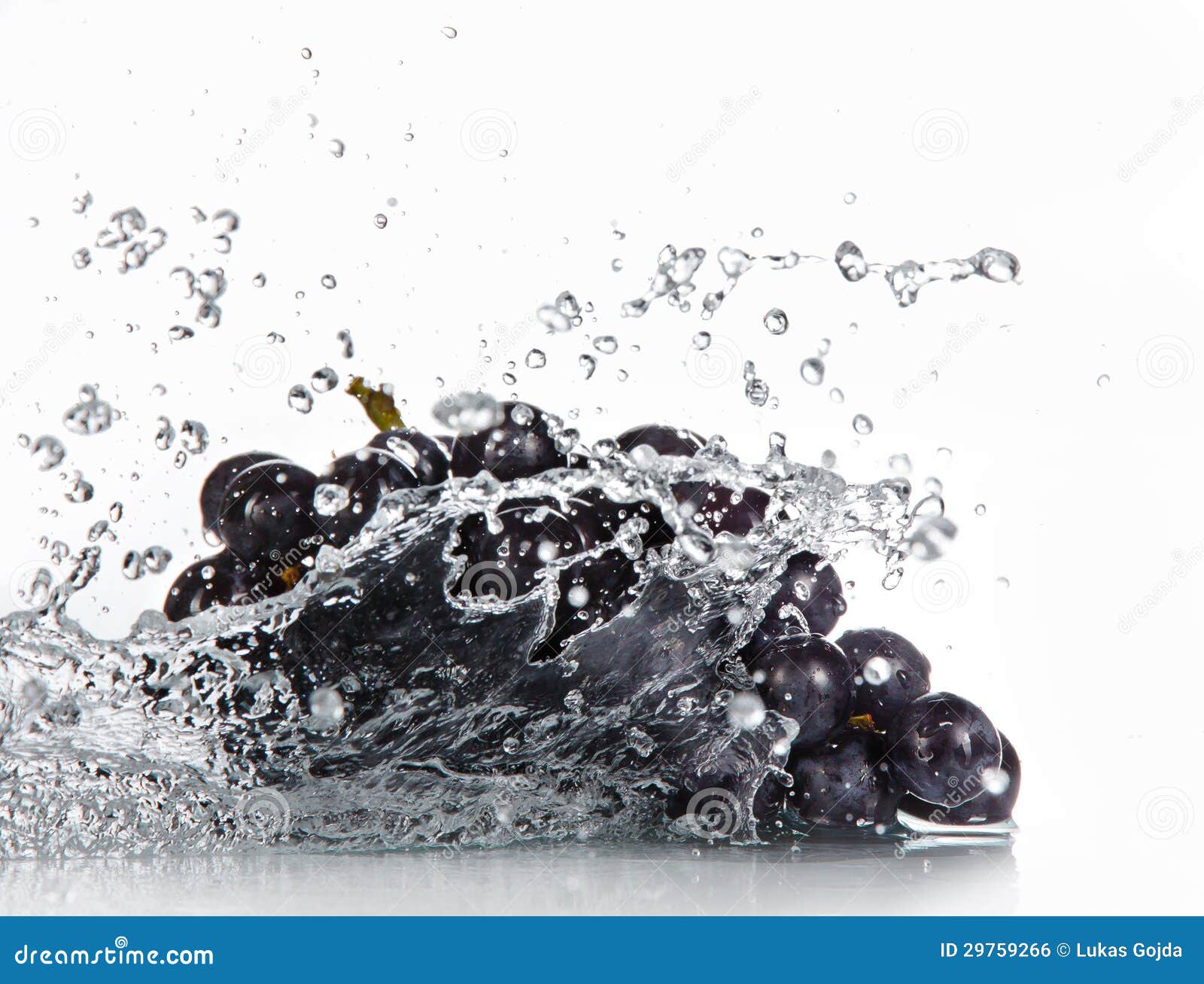 Grapes with water splash stock photo. Image of black - 29759266