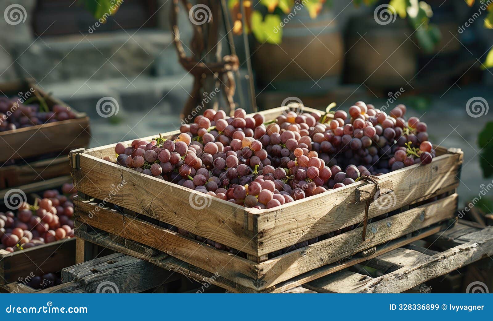 Grapes in a Wooden Crate on a Quaint Roadside Stand Stock Image - Image ...