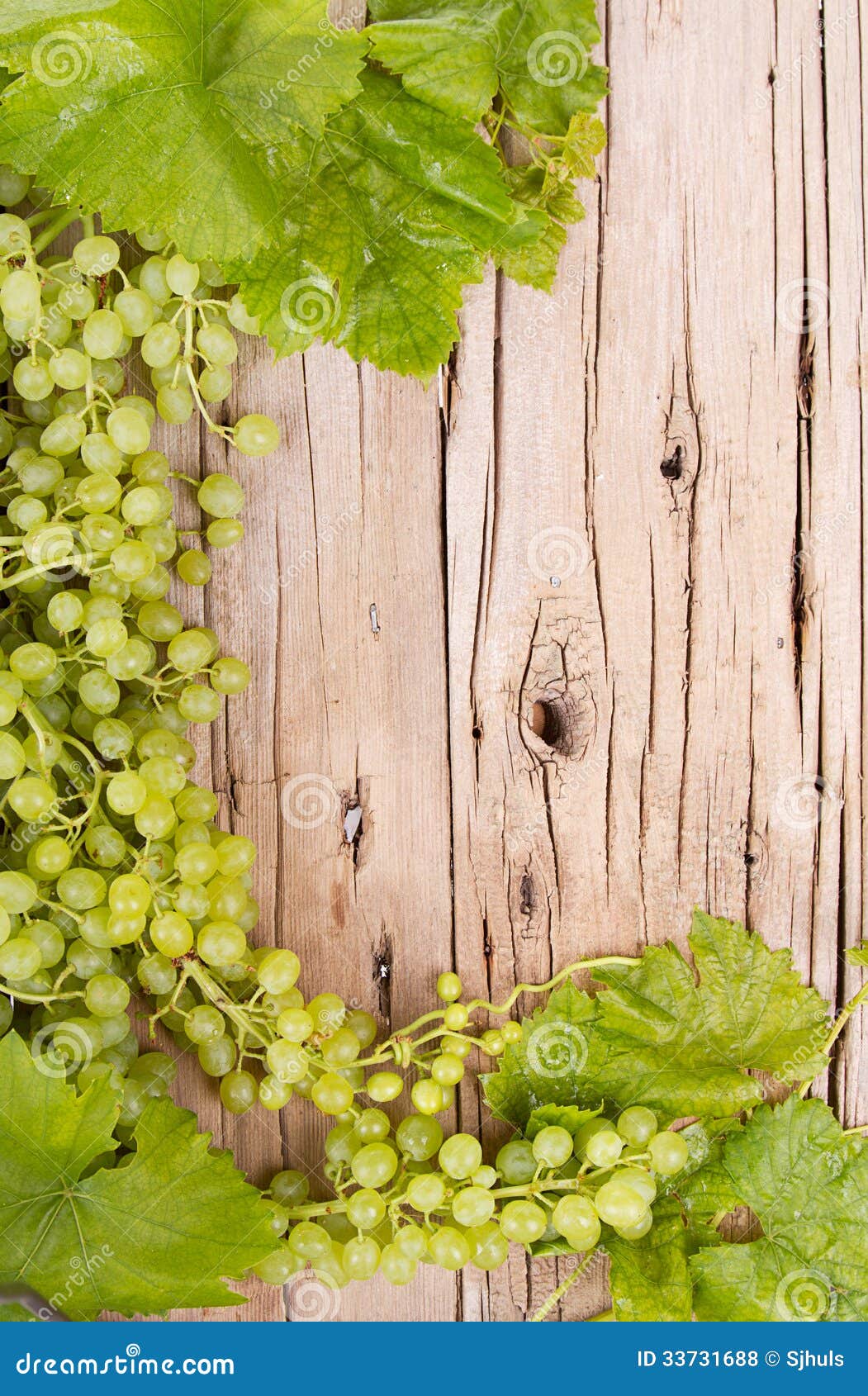 Grapes on wooden plank stock photo. Image of natural - 33731688