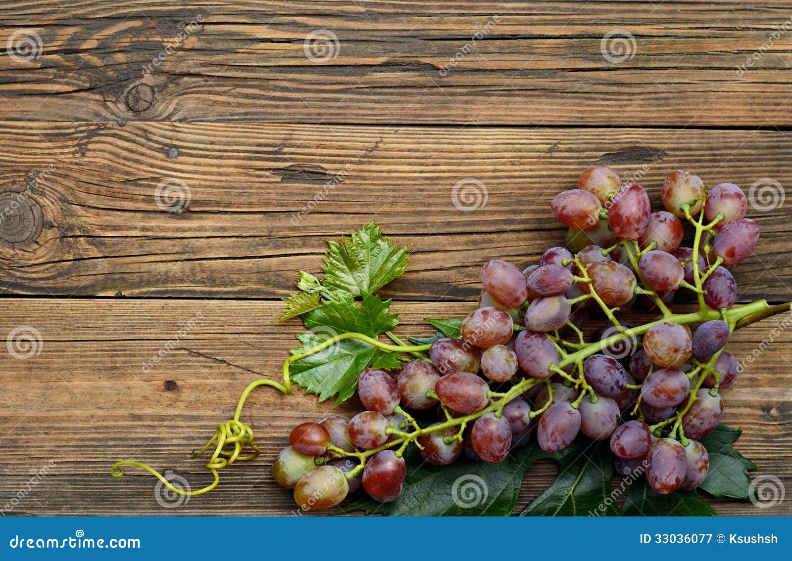 Grapes on wooden table stock image. Image of drinks, sweet - 33036077