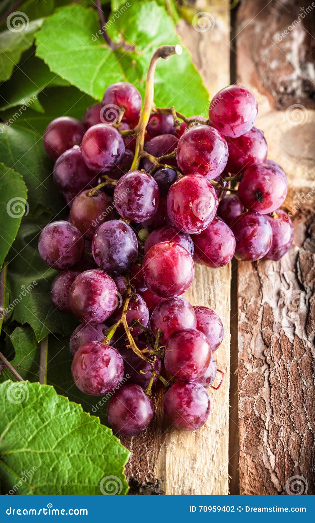 Grapes on wooden table stock photo. Image of background - 70959402