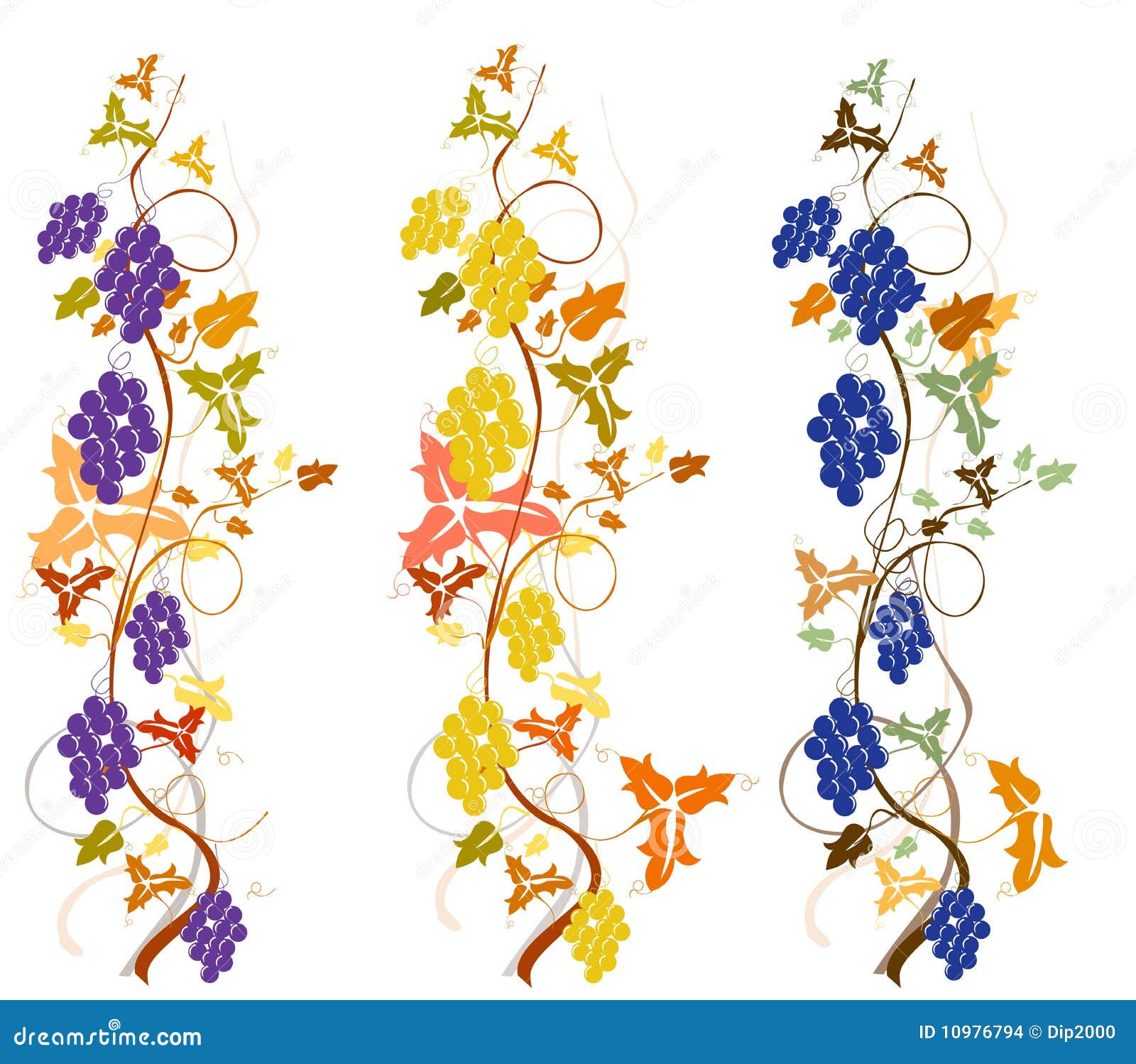 Colored Grapevine Stock Illustrations – 421 Colored Grapevine Stock ...