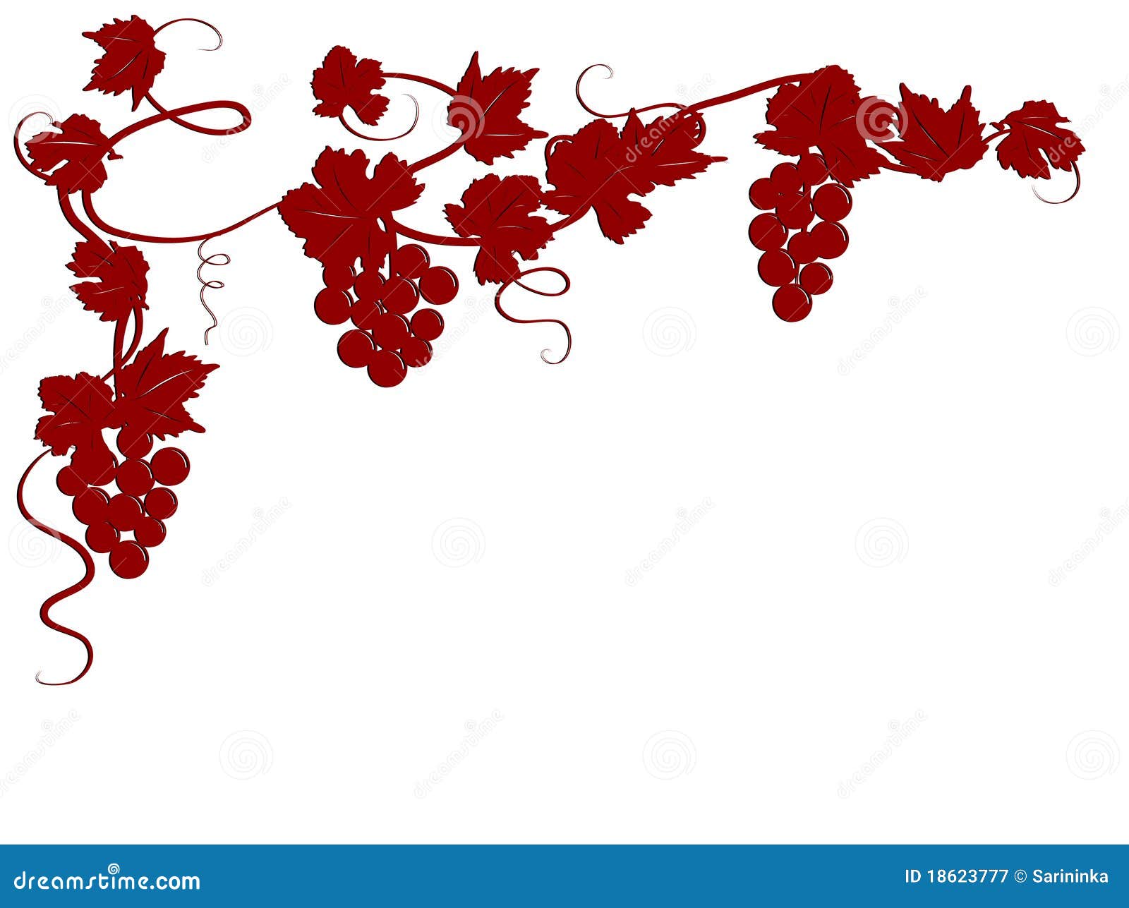 Grapevine stock vector. Illustration of graphic, vine - 18623777