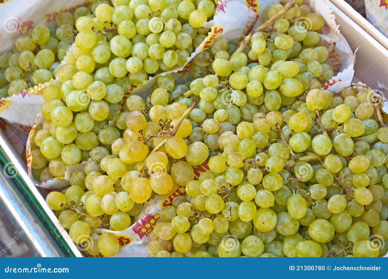 Grapevine stock photo. Image of grapevine, market, closeup - 21300780