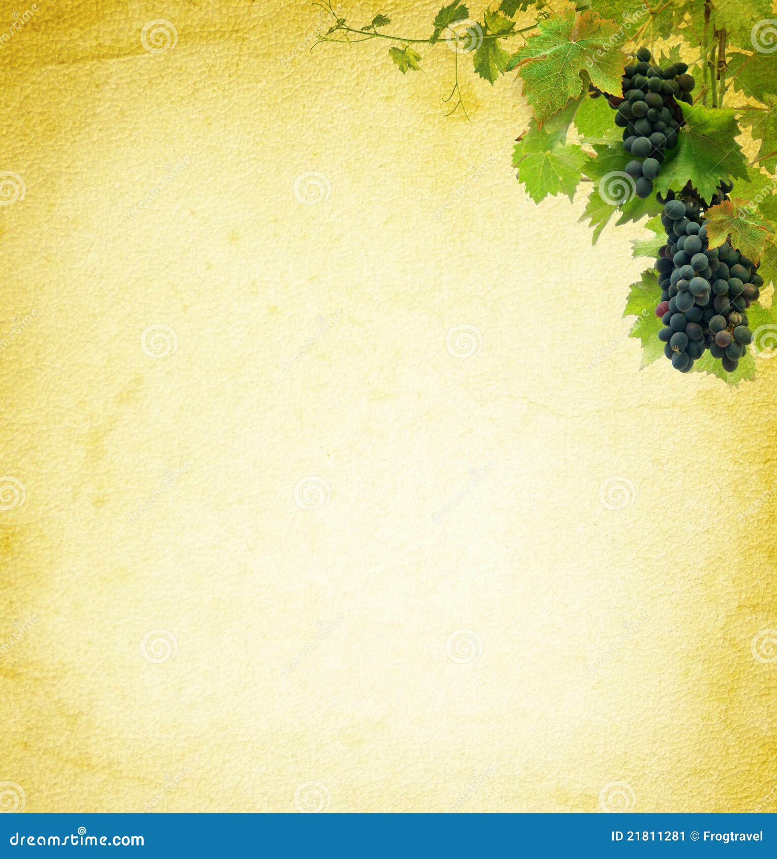 Grapevine Stock Image - Image: 21811281