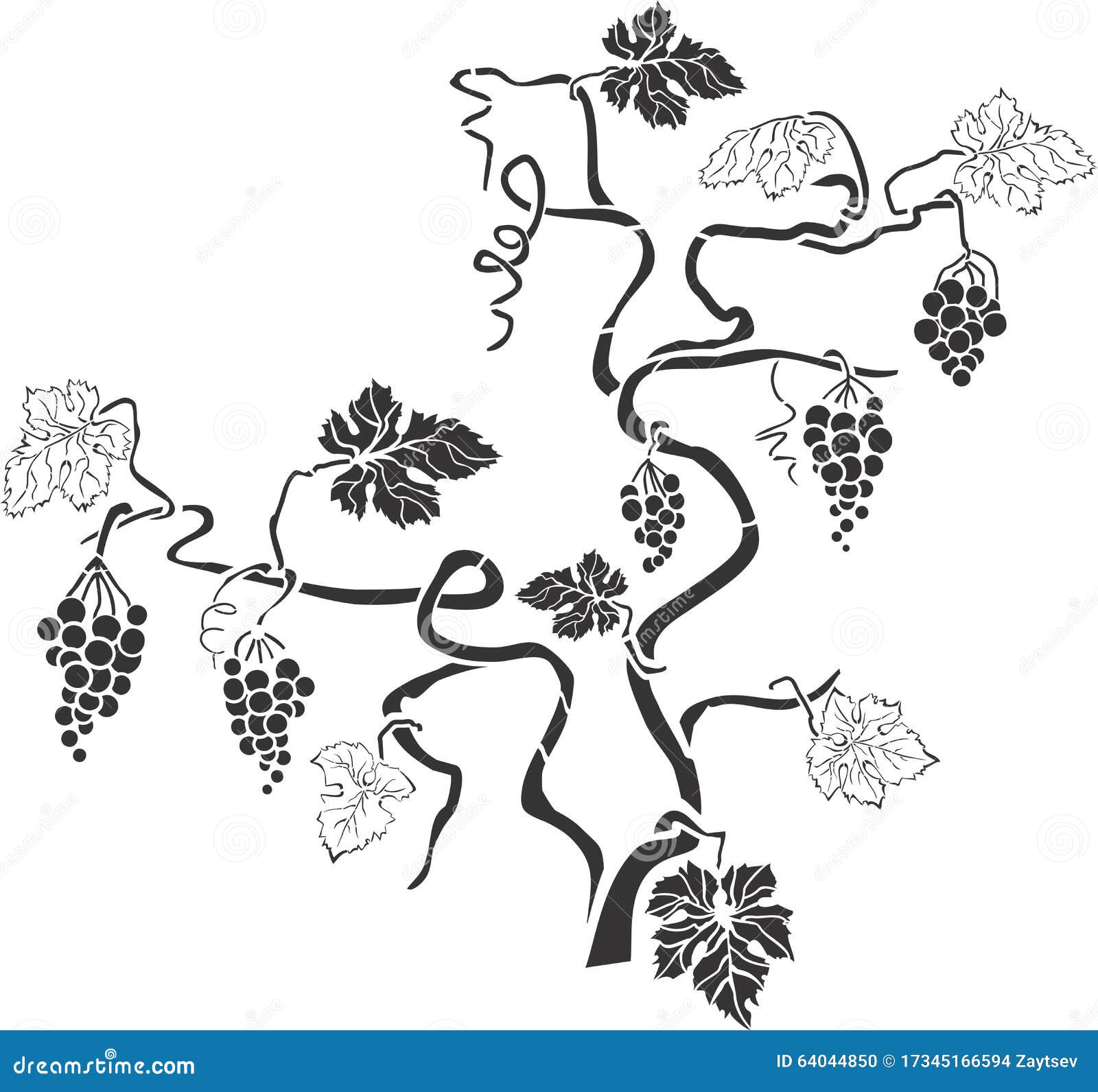 Grapevine 3 stock illustration. Illustration of artistical - 64044850