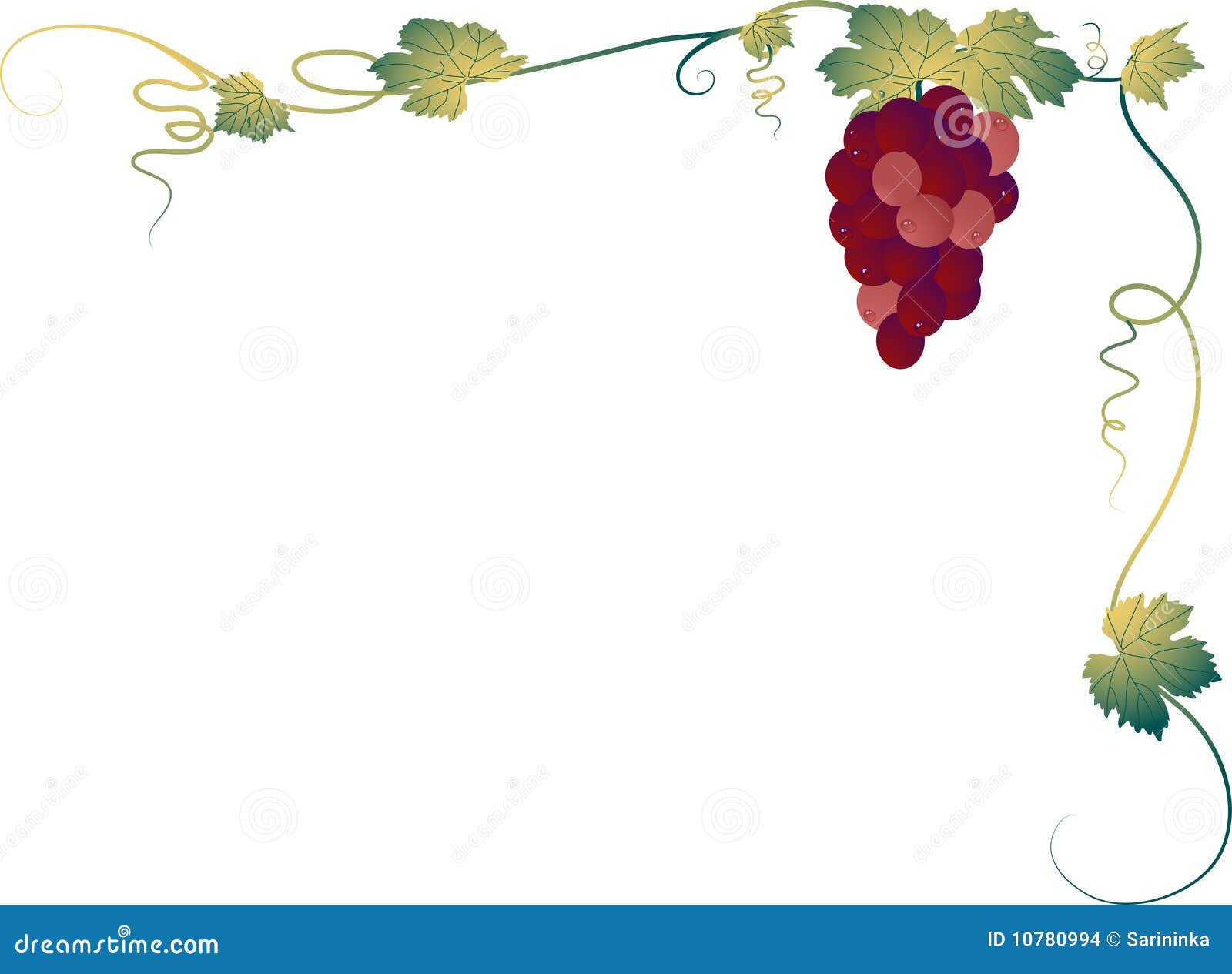 Roman Grapes Vine Border Corners