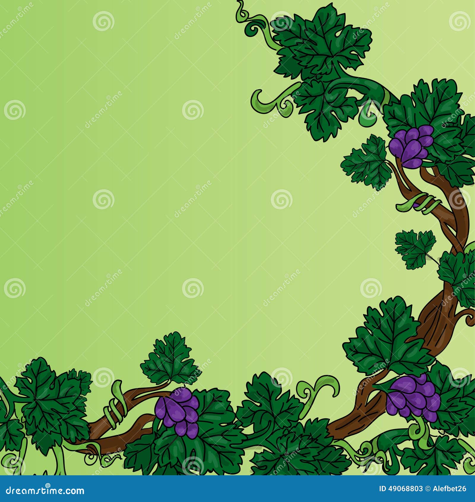 Grapevine stock vector. Illustration of fruit, backgrounds - 49068803