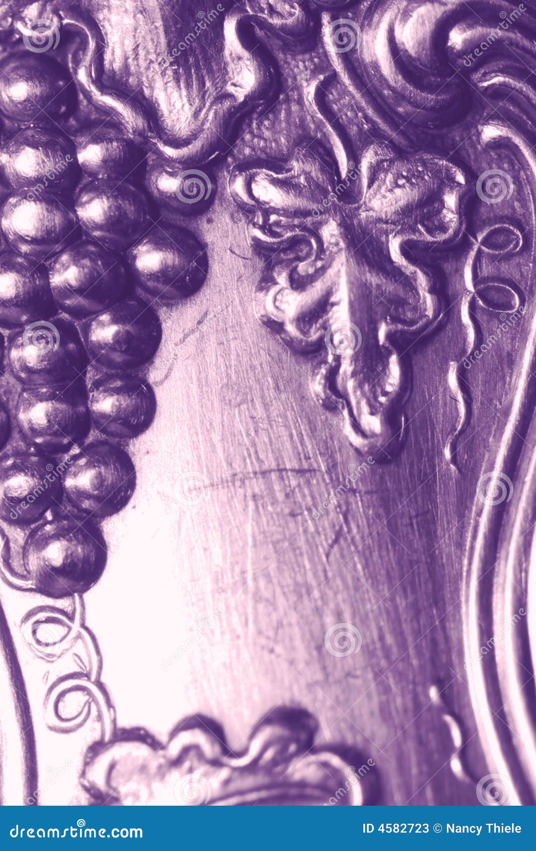 Grapevine design stock image. Image of vintage, craftsmanship - 4582723