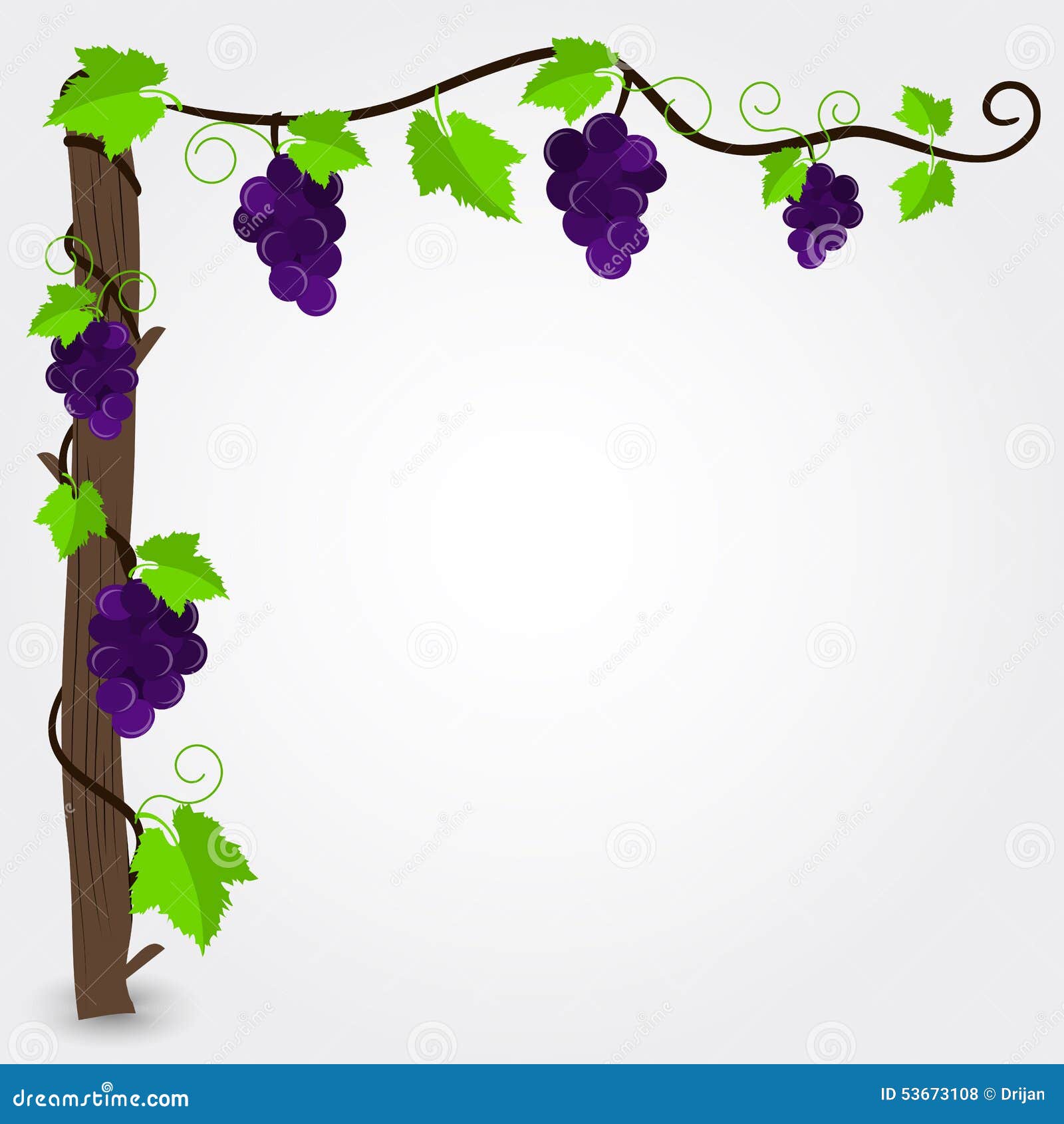 Grapevine frame stock vector. Illustration of graphic - 53673108