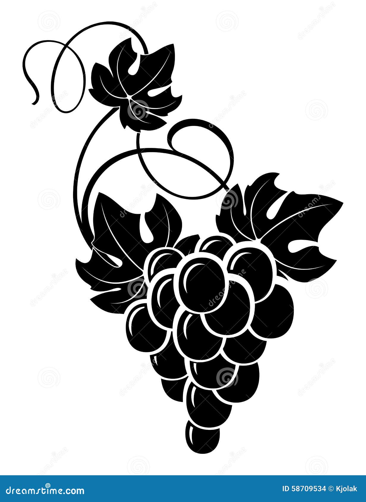 Grapevine stock vector. Illustration of banner, backdrop - 58709534
