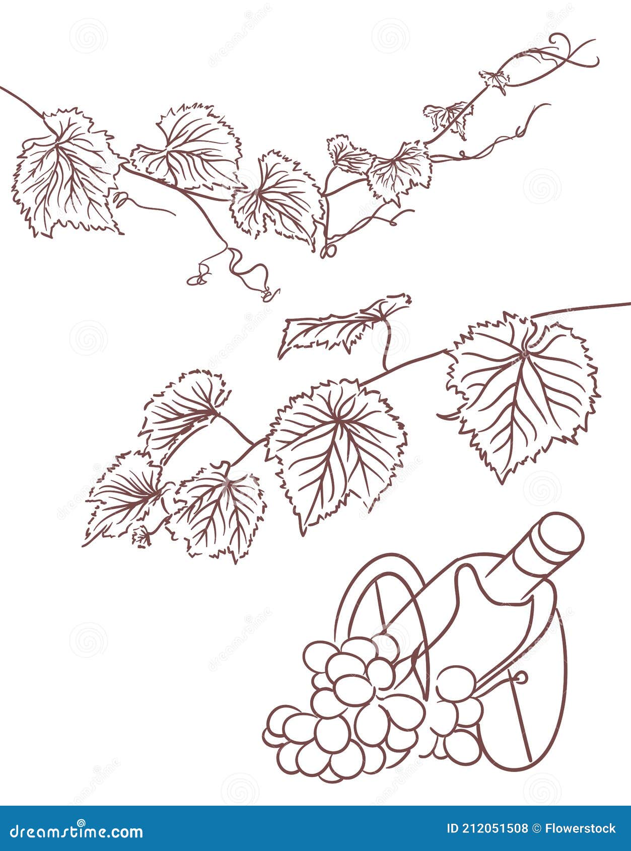 Grapevine Leaves Design Elements. Bottle and Grapes Stock Vector ...