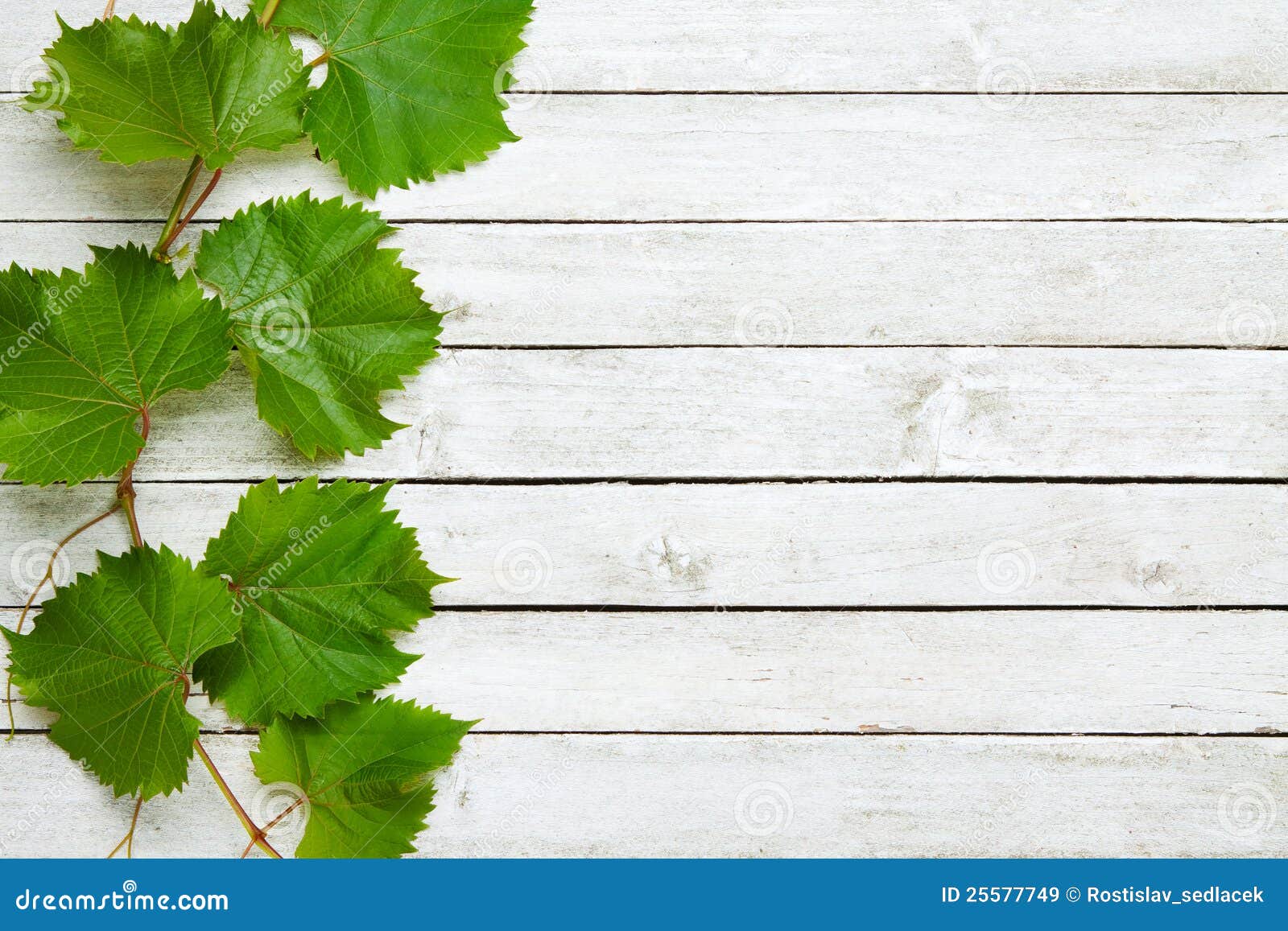 Grapevine Leaves on Wooden Background Stock Image - Image of natural ...