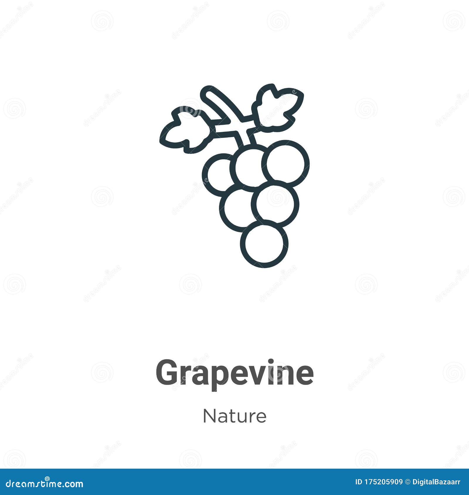 Grapevine Outline Vector Icon. Thin Line Black Grapevine Icon, Flat ...