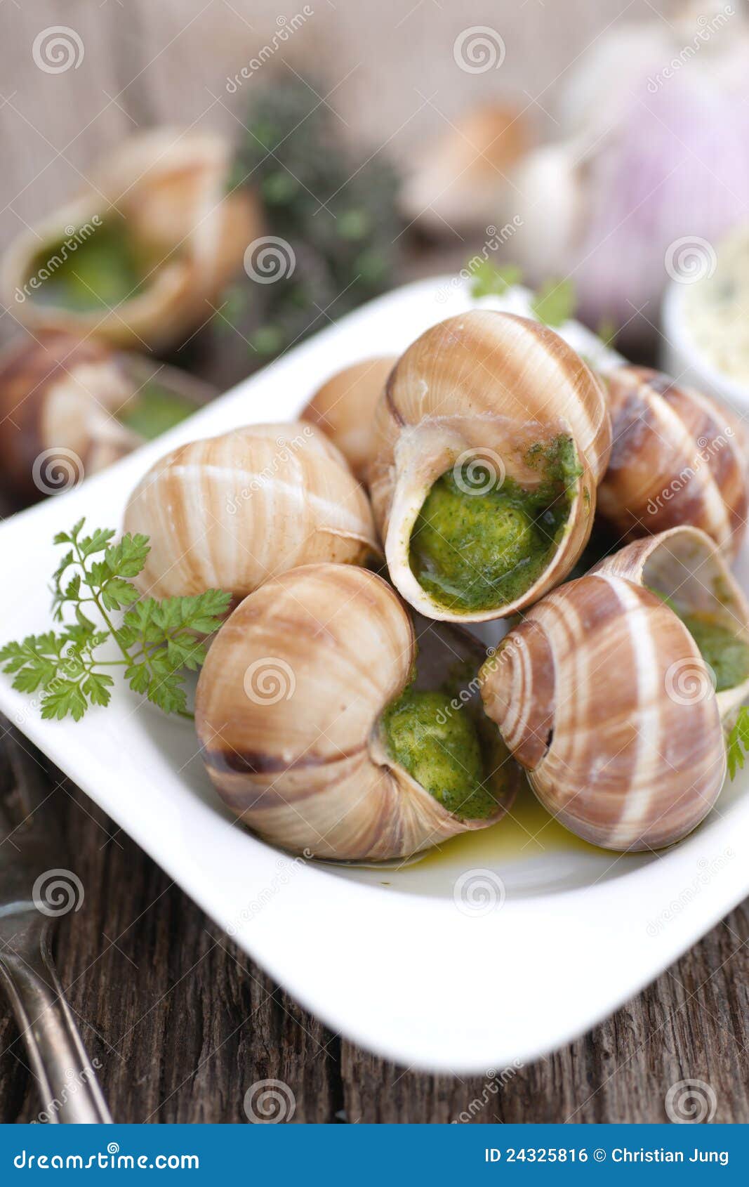 Grapevine snails stock photo. Image of fresh, edible - 24325816