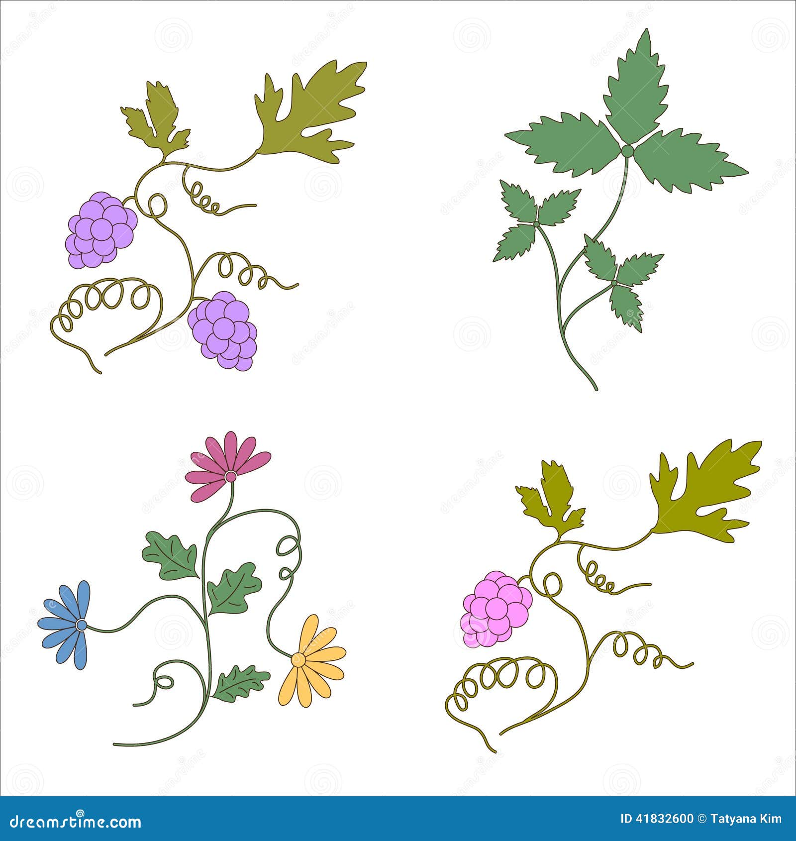 Grapevine. Vector Wine Design Elements, a Set Stock Vector ...