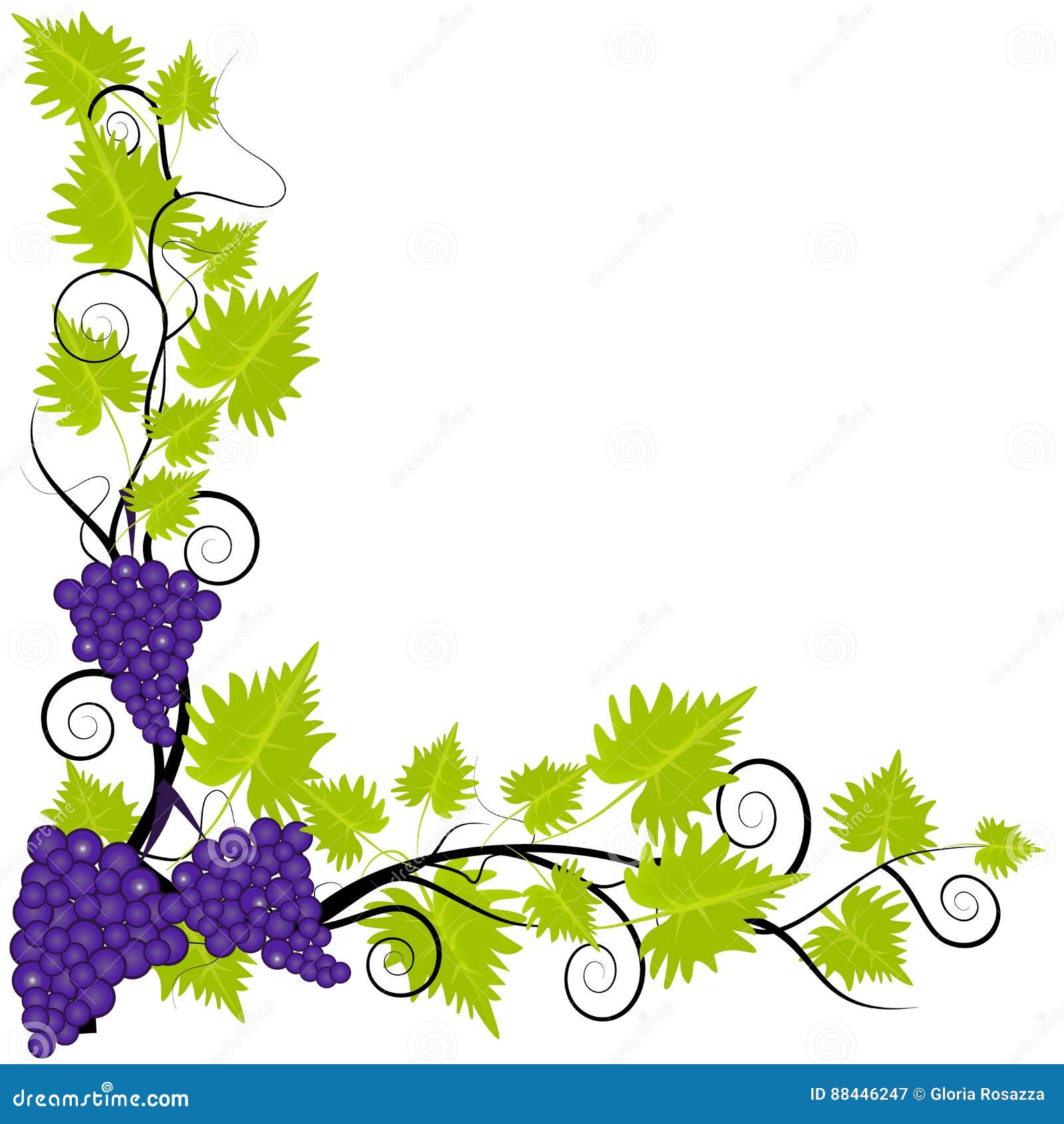 Grapevine On White Corner Frame Cartoon Vector | CartoonDealer.com ...