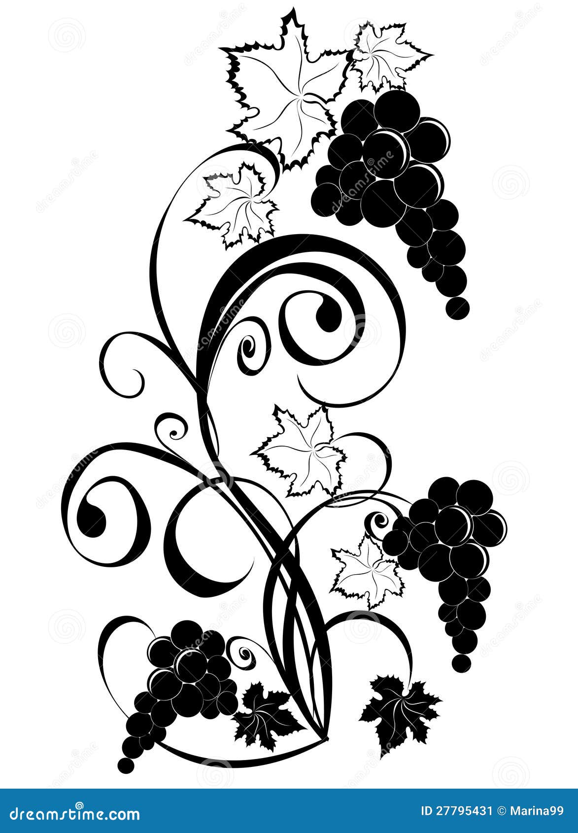 Grapevine. Wine Design Elements. Stock Vector - Illustration of black ...