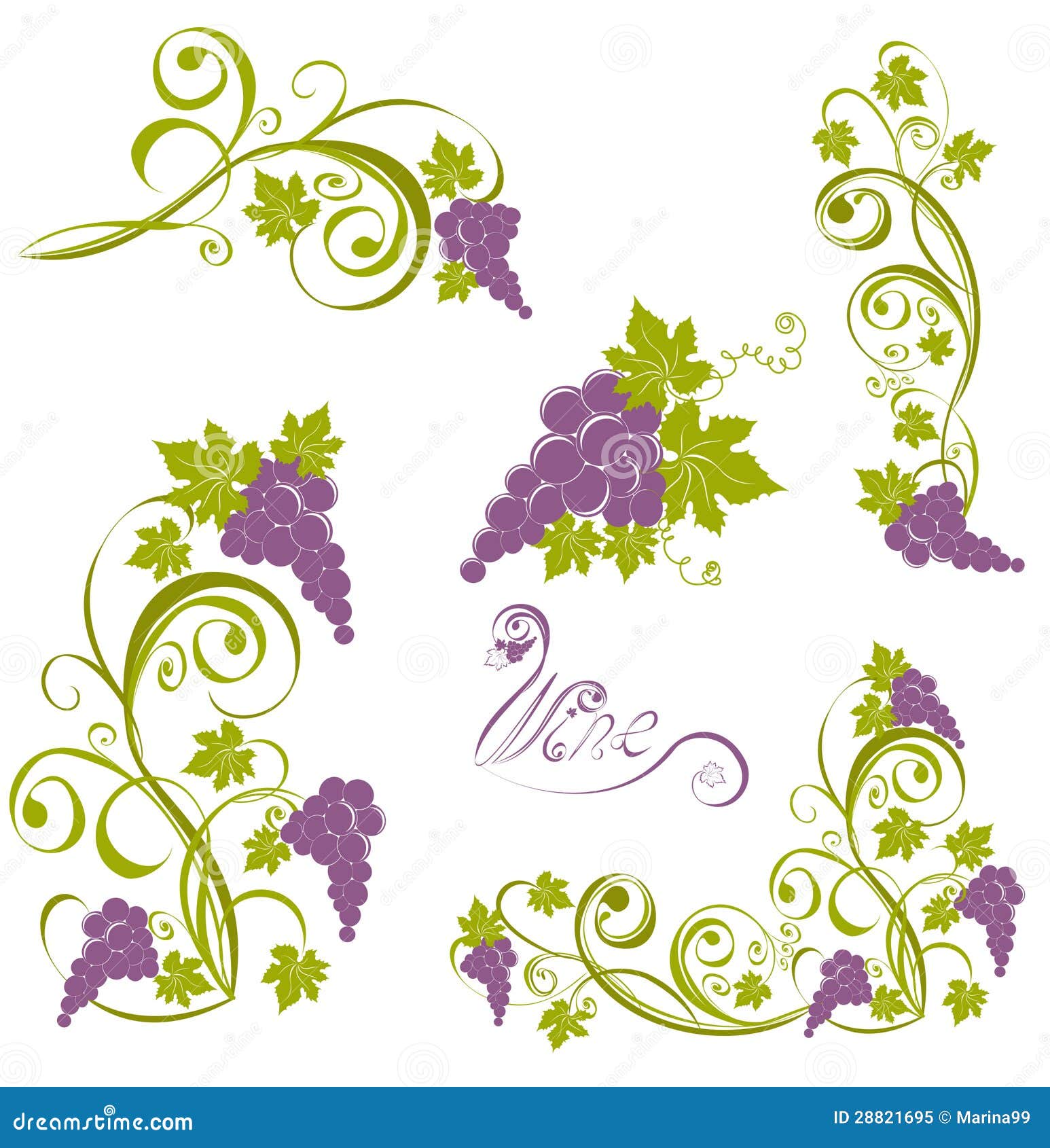 Grapevine. Wine Design Elements Stock Vector - Illustration of ...