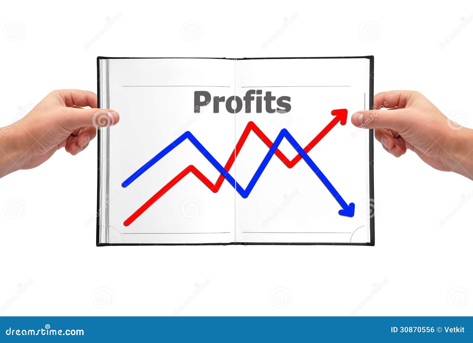 Graph in book stock photo. Image of meeting, sketch, diary - 30870556