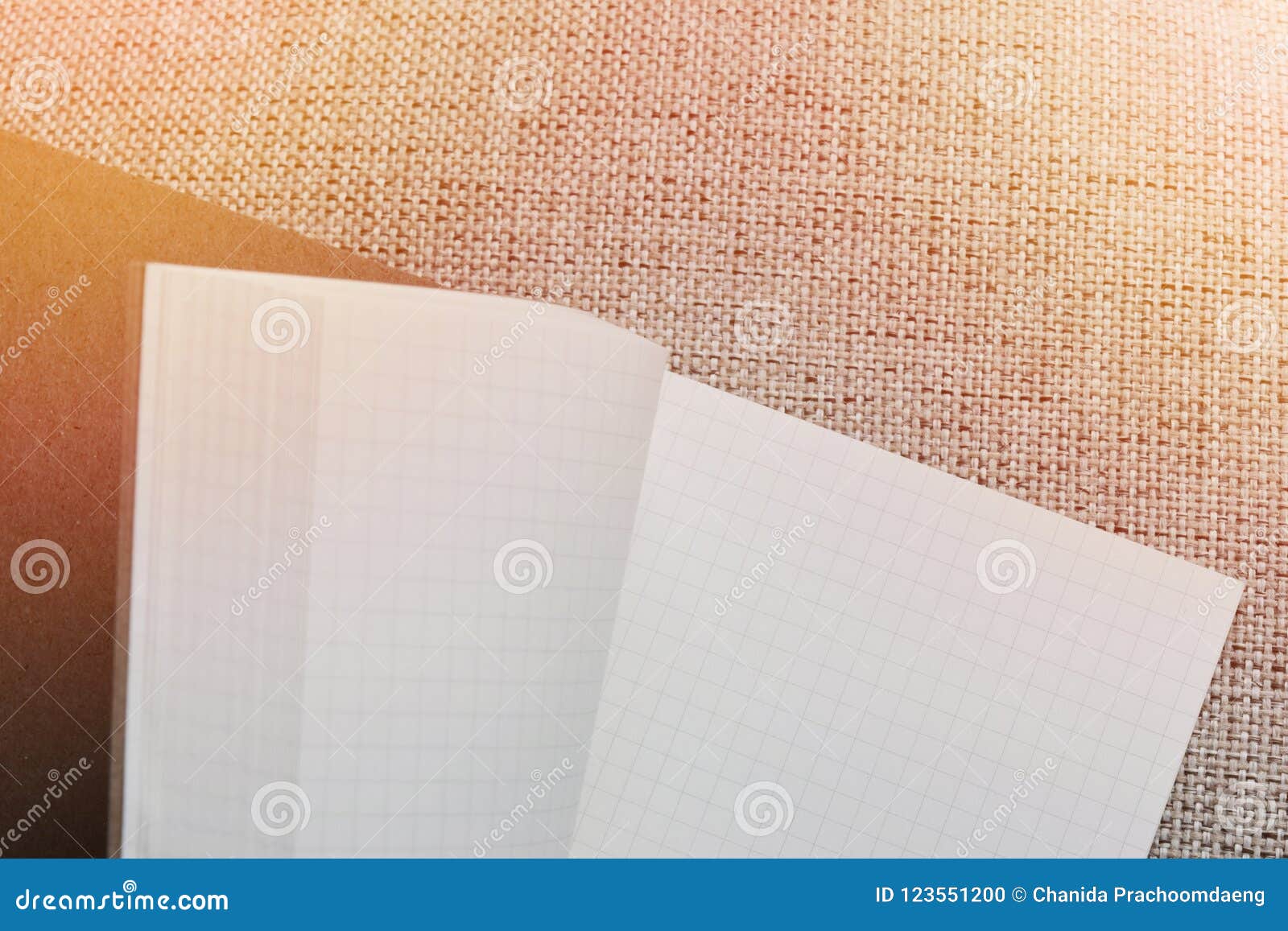 Graph Book Open, Grid Chart For Notes Or Statistics . Stock Photography ...