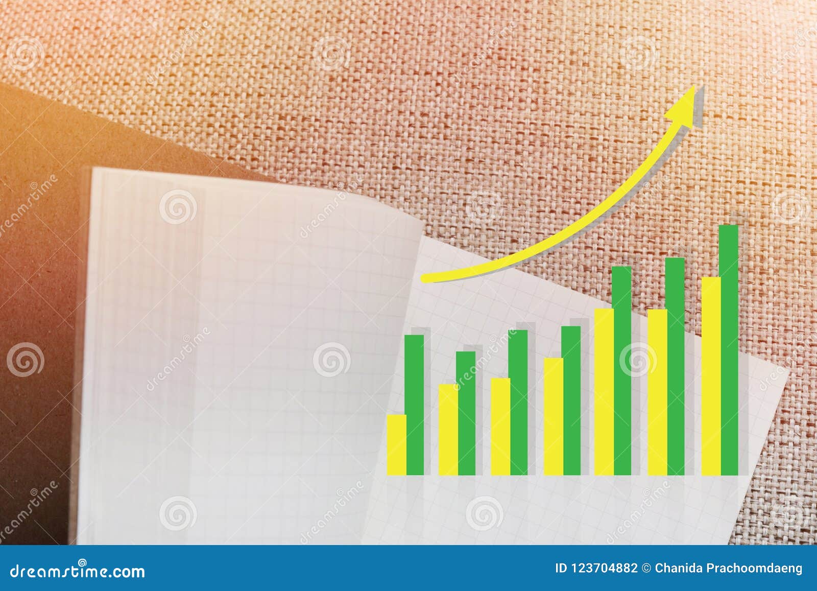 Graph Book Open, Grid Chart For Notes Or Statistics . Stock Photography ...
