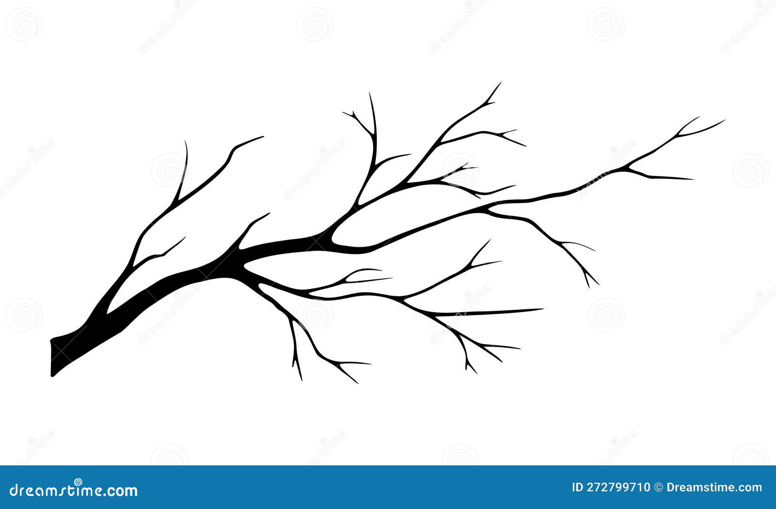 Black and White, Vector Illustration of an Empty, Dry Tree Branch ...