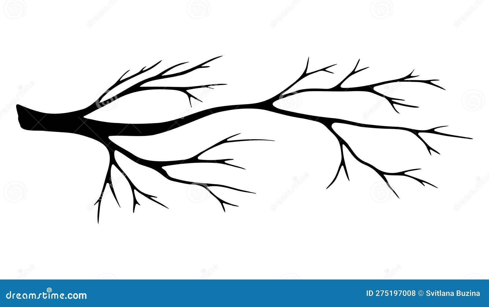 Black and White Silhouette Illustration of a Dry Tree Branch without Leaves. Stock Vector ...