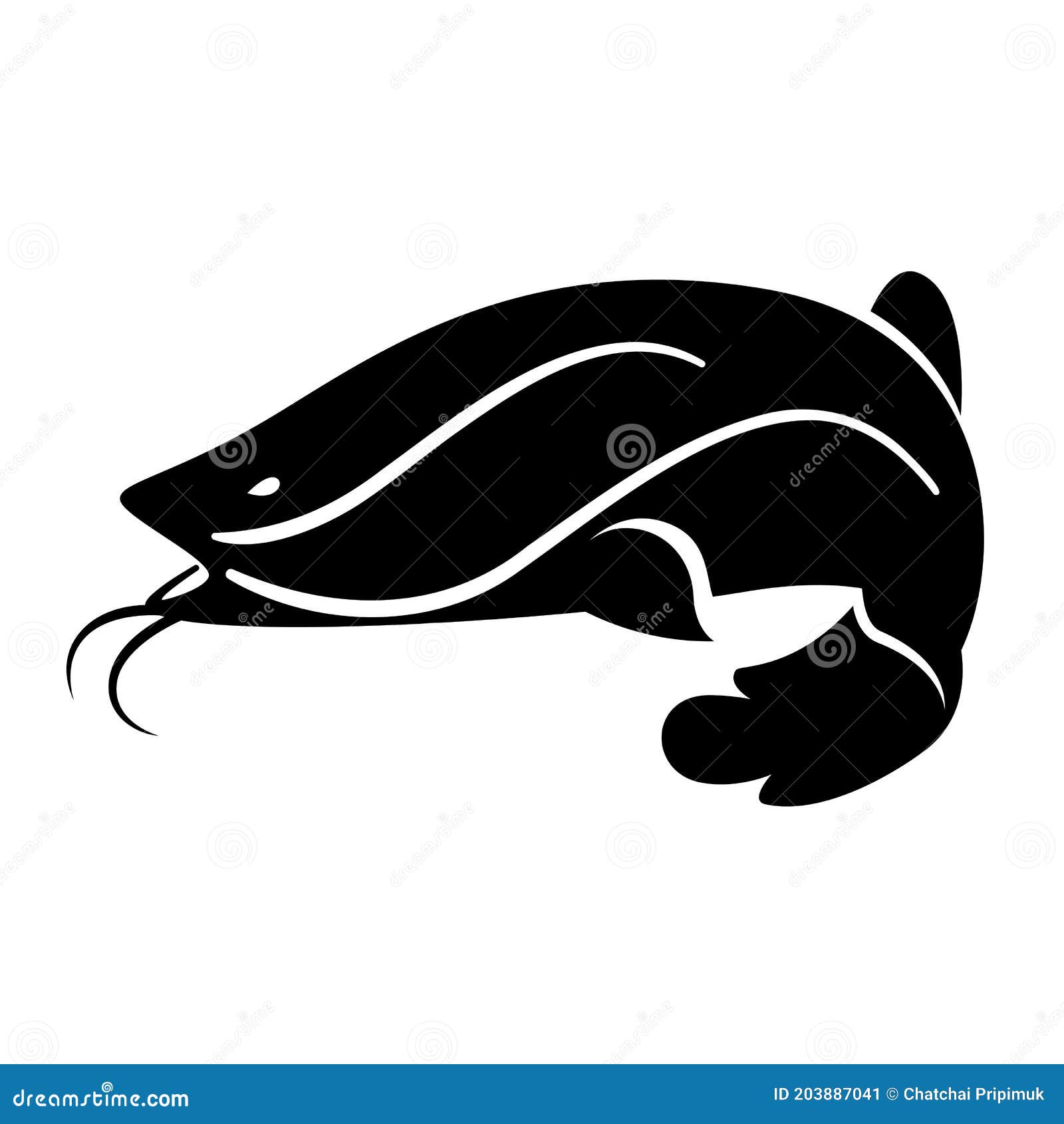 Black Catfish Isolated On White - Graflex Speed Graphic Style Stock ...