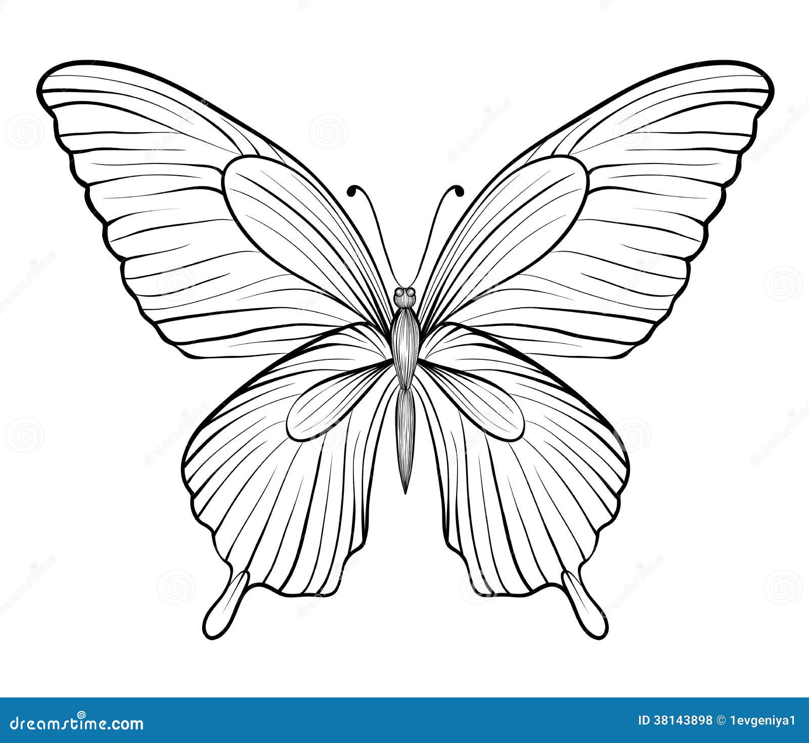 Graphic Black and White Butterfly. One Isolated on White Stock Vector ...