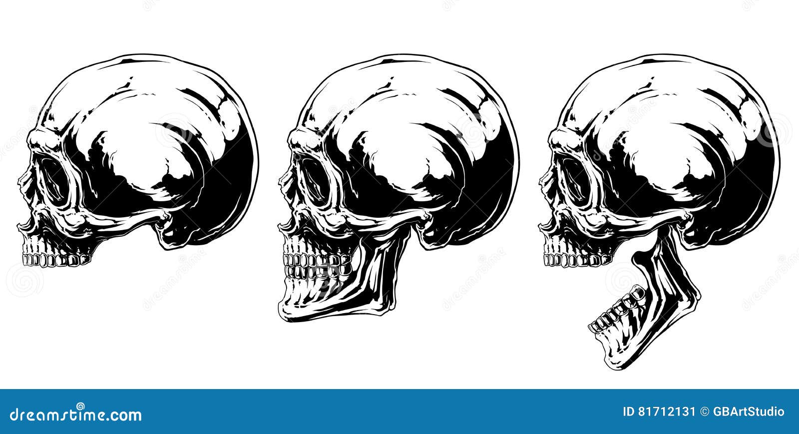 Graphic Black and White Human Skull Projection Set Stock Vector ...