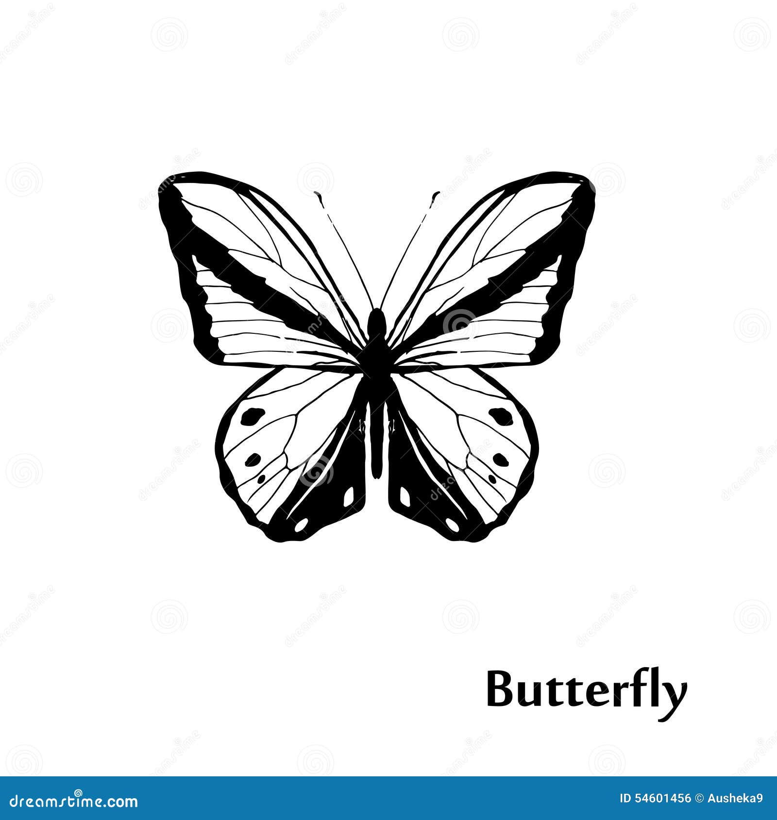 Graphic butterfly stock vector. Illustration of beautiful - 54601456