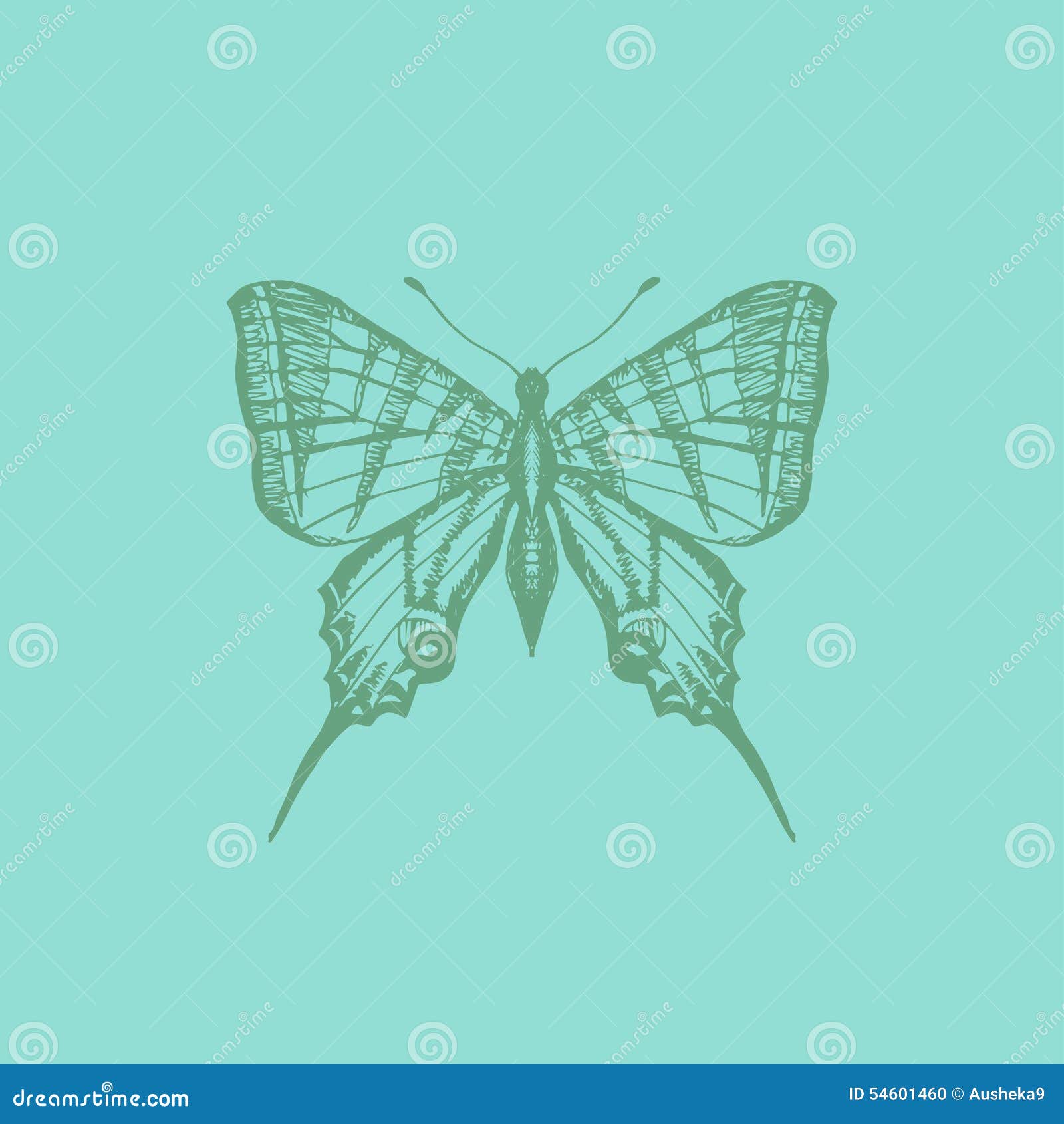 Graphic butterfly stock vector. Illustration of butterfly - 54601460