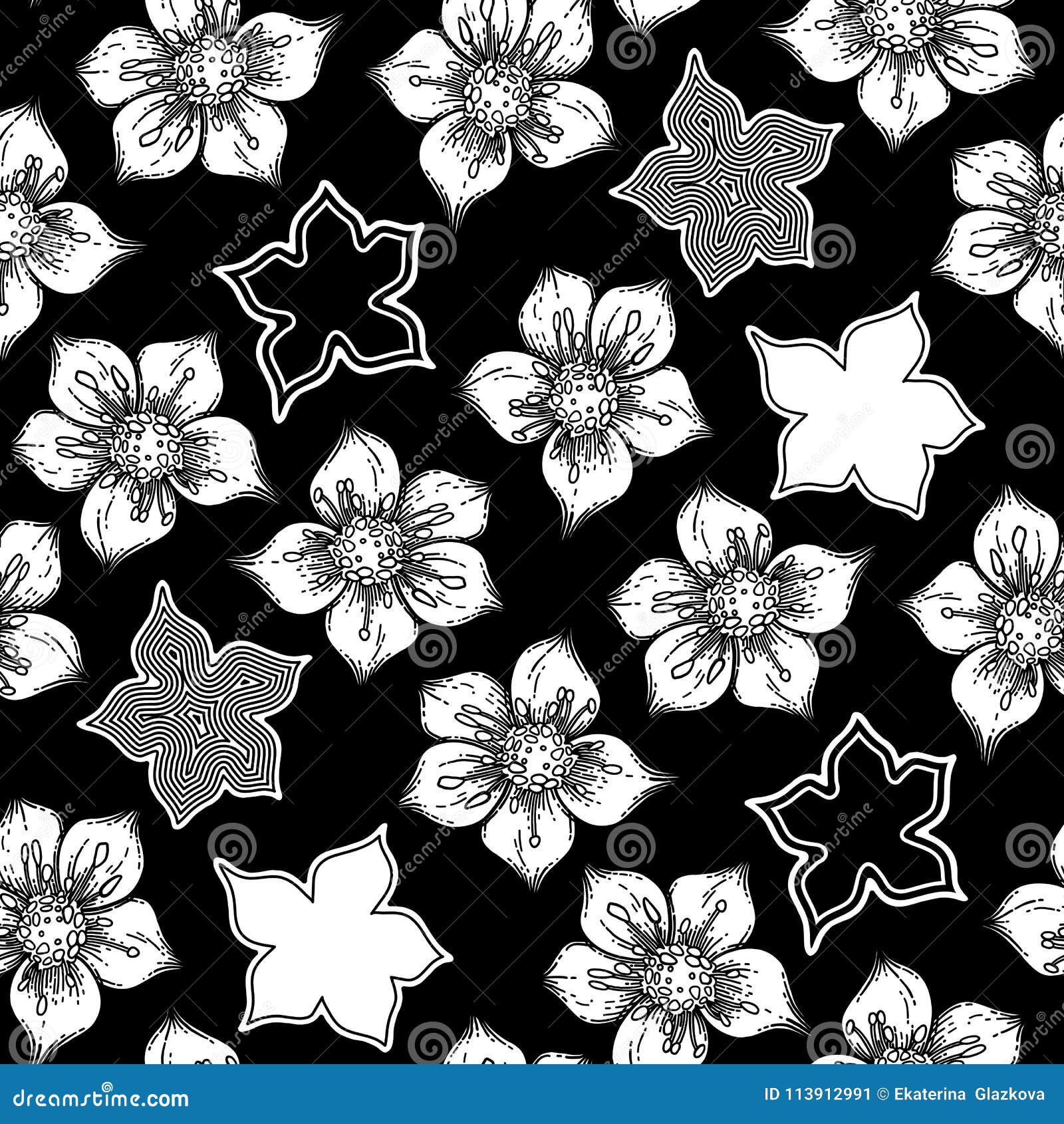 Graphic cumin pattern stock vector. Illustration of handdrawn - 113912991