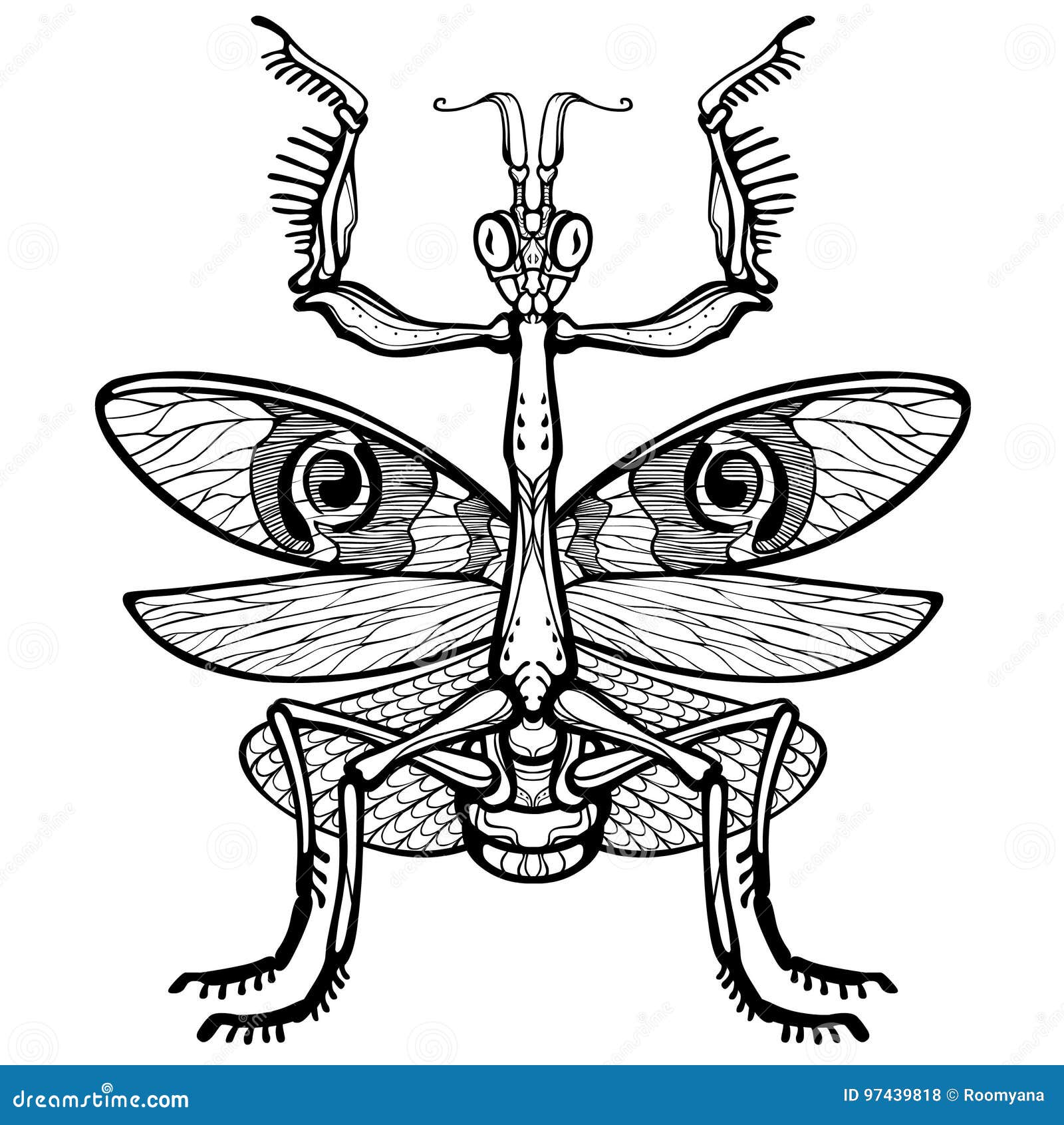 Graphic Decorative Image of the Mantis. Stock Vector - Illustration of ...