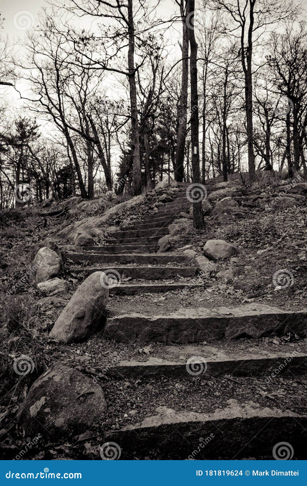 Hiking Staircase In Steep Slope And Hydrangeas Flowers In Mount ...