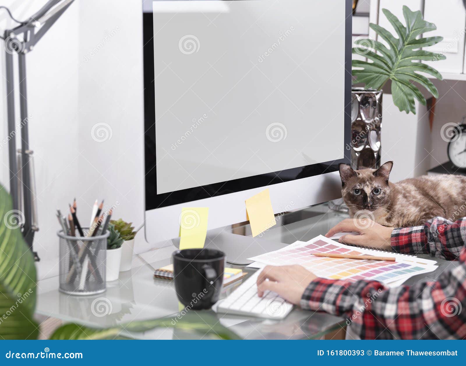 Graphic Designer Artist Creative Working on Computer at Desk in Office ...