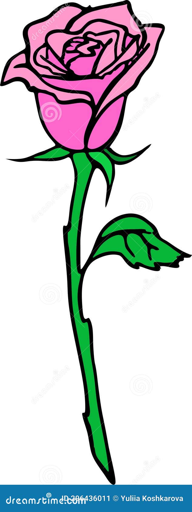 Graphic Drawing Pink Flower Rose without Background, Isolated Element ...