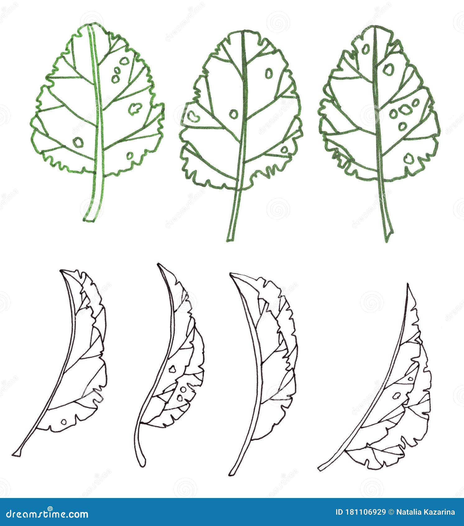 Graphic Drawing of a Set of Contour Monochrome Leaves Stock ...